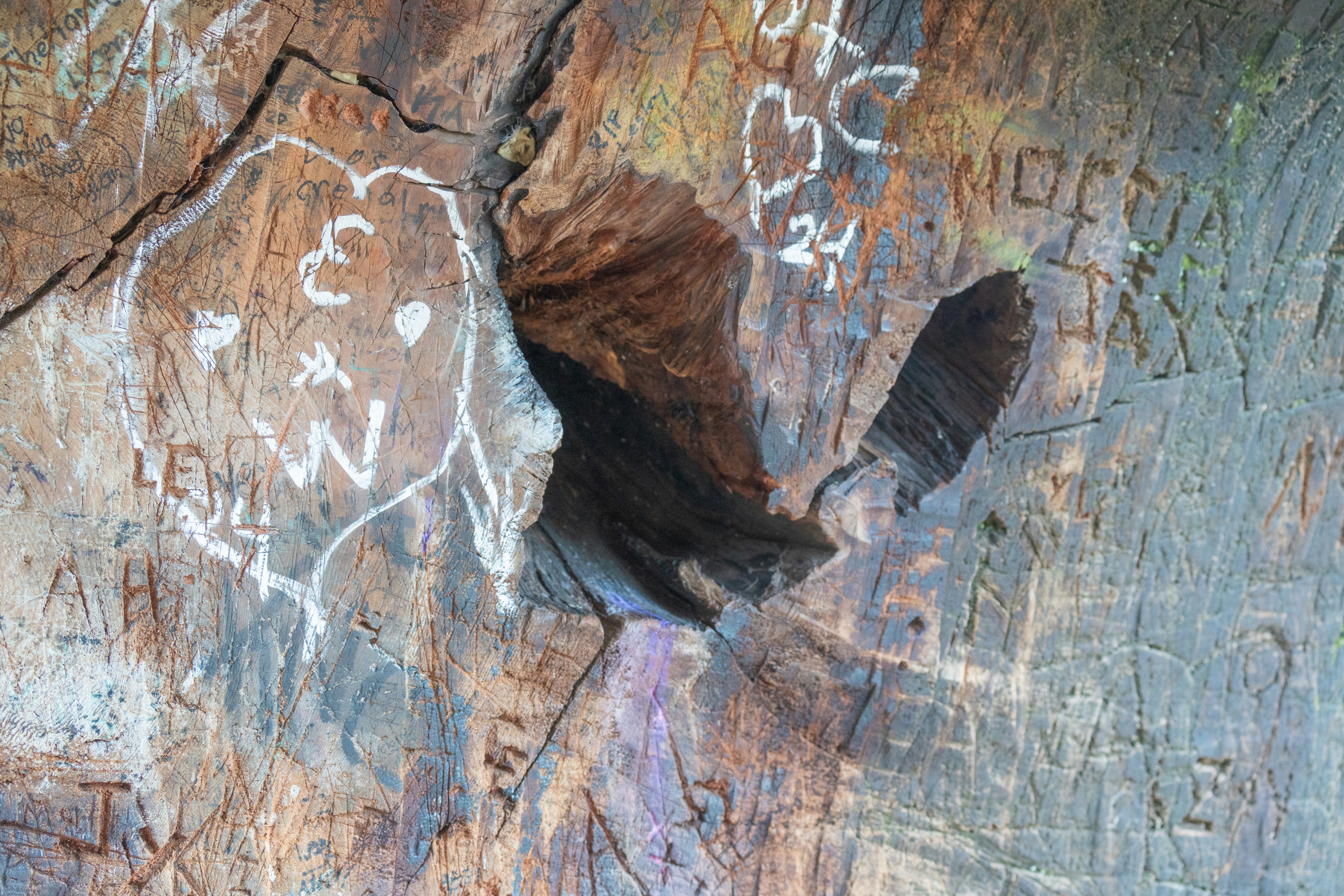Chiseled Messages in Weathered Rock