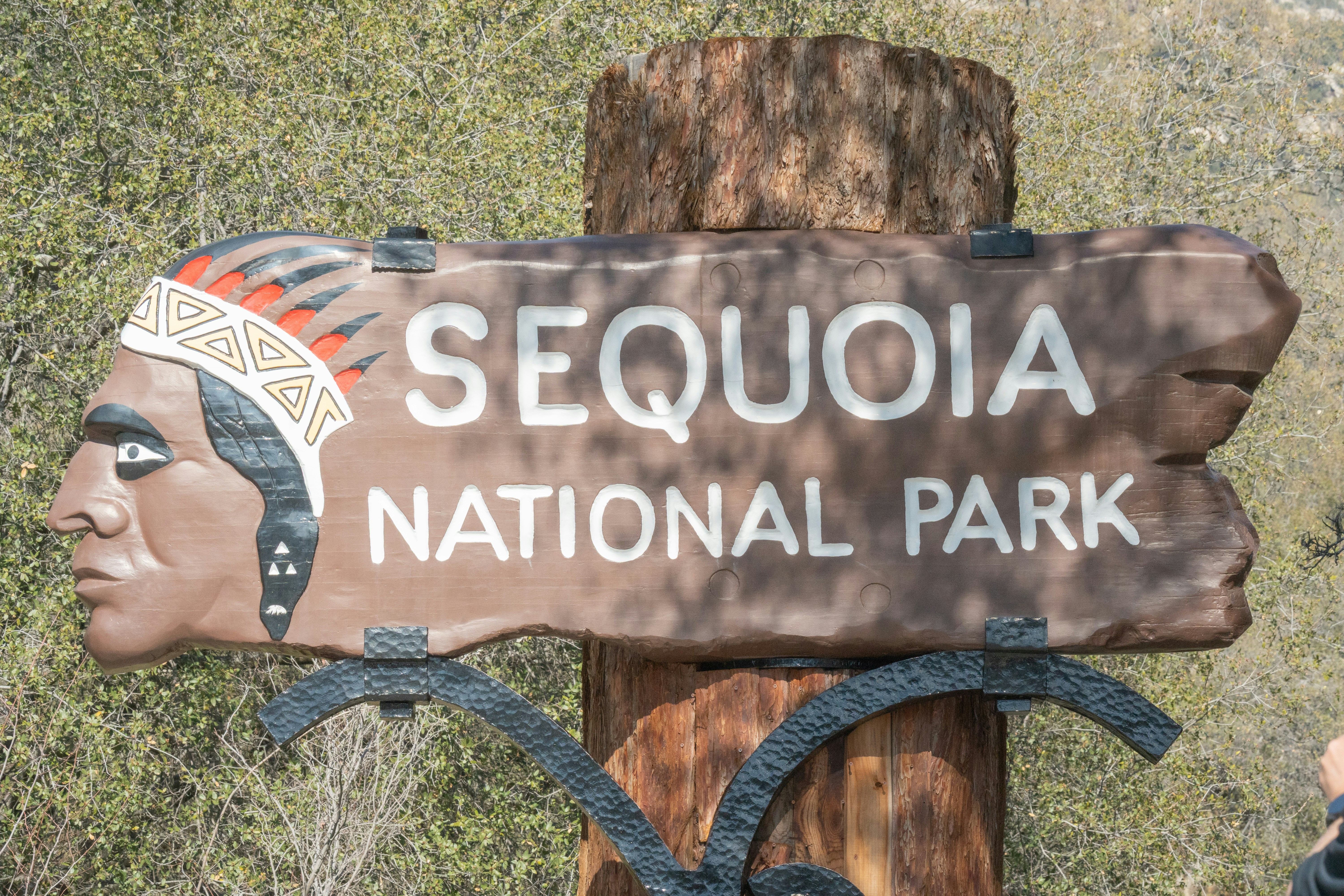 Signpost to Sequoia: A Weathered Welcome at the Park Entrance