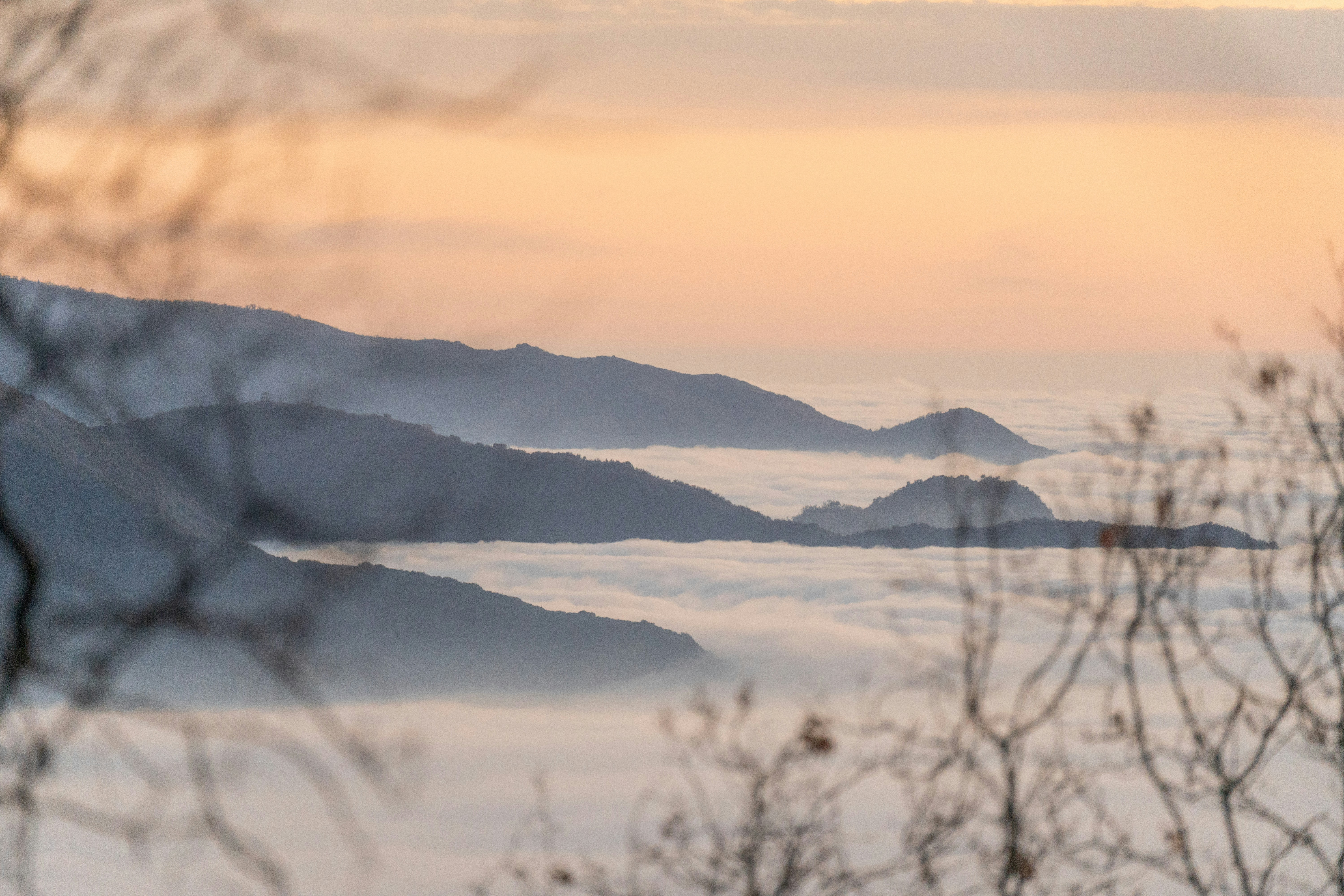 Mist-Kissed Ridge: A Dawn in the Valley