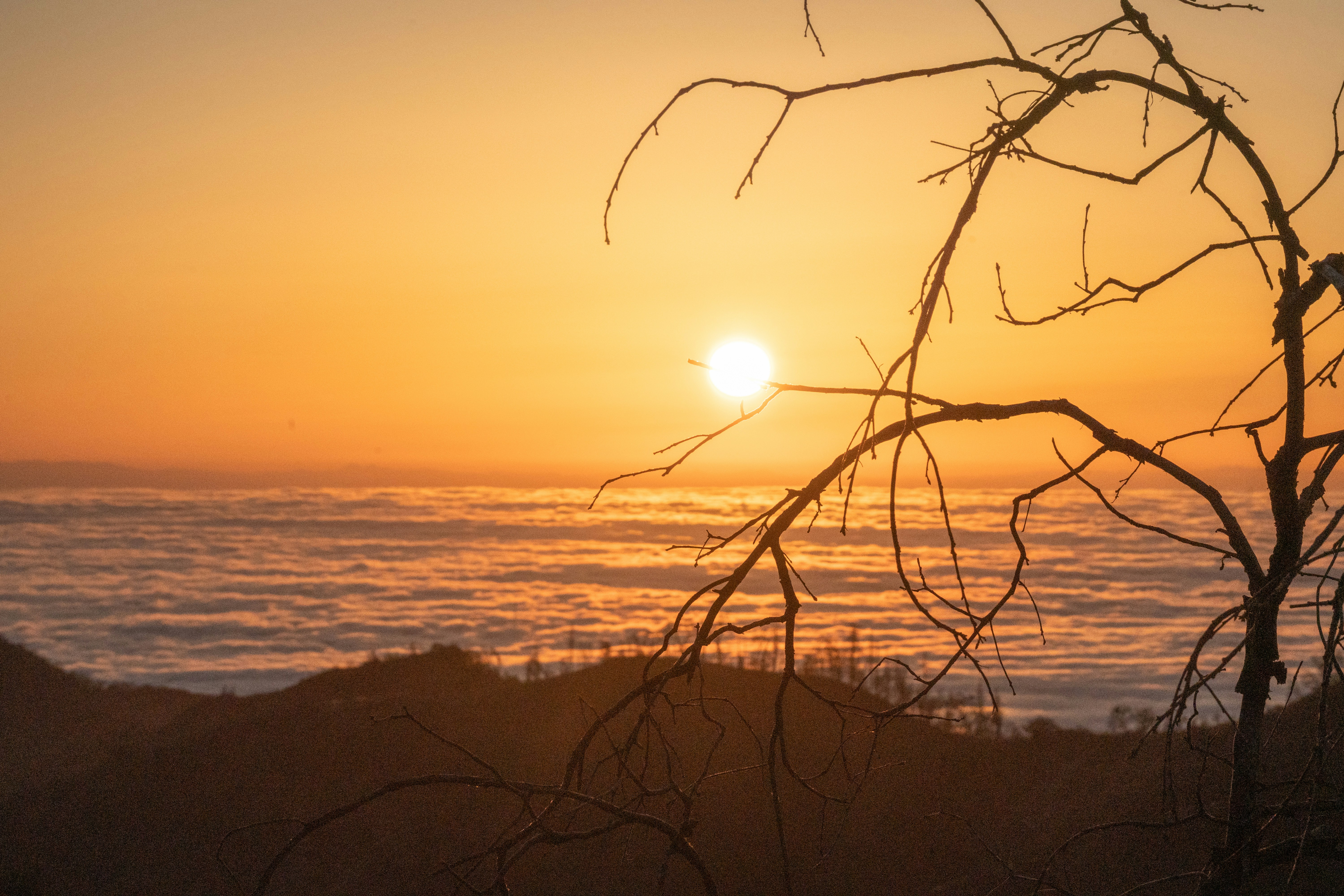 Sunset over the horizon framed by bare tree silhouettes and rolling clouds
