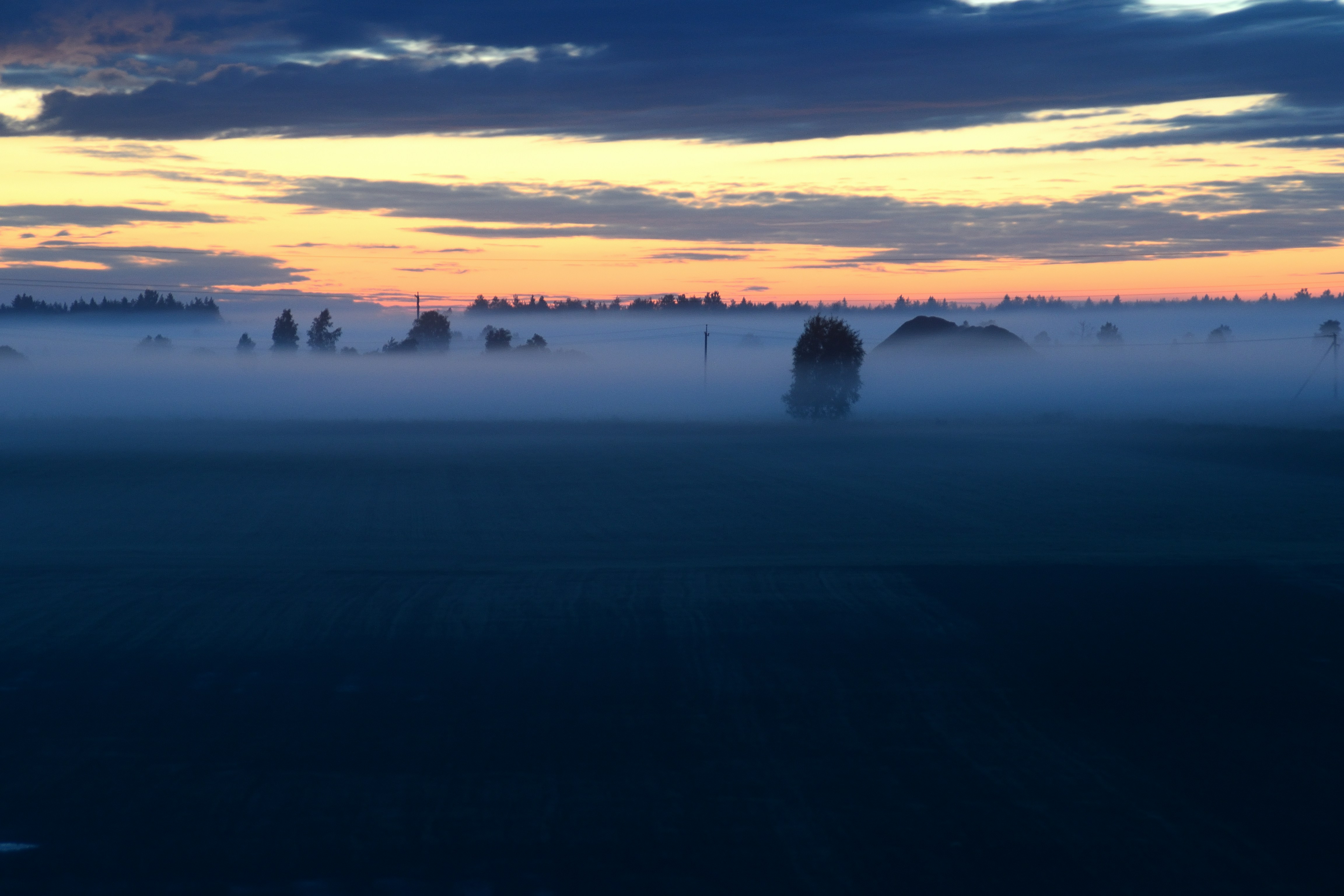 Dawn Fog Quietly Clings to the Field