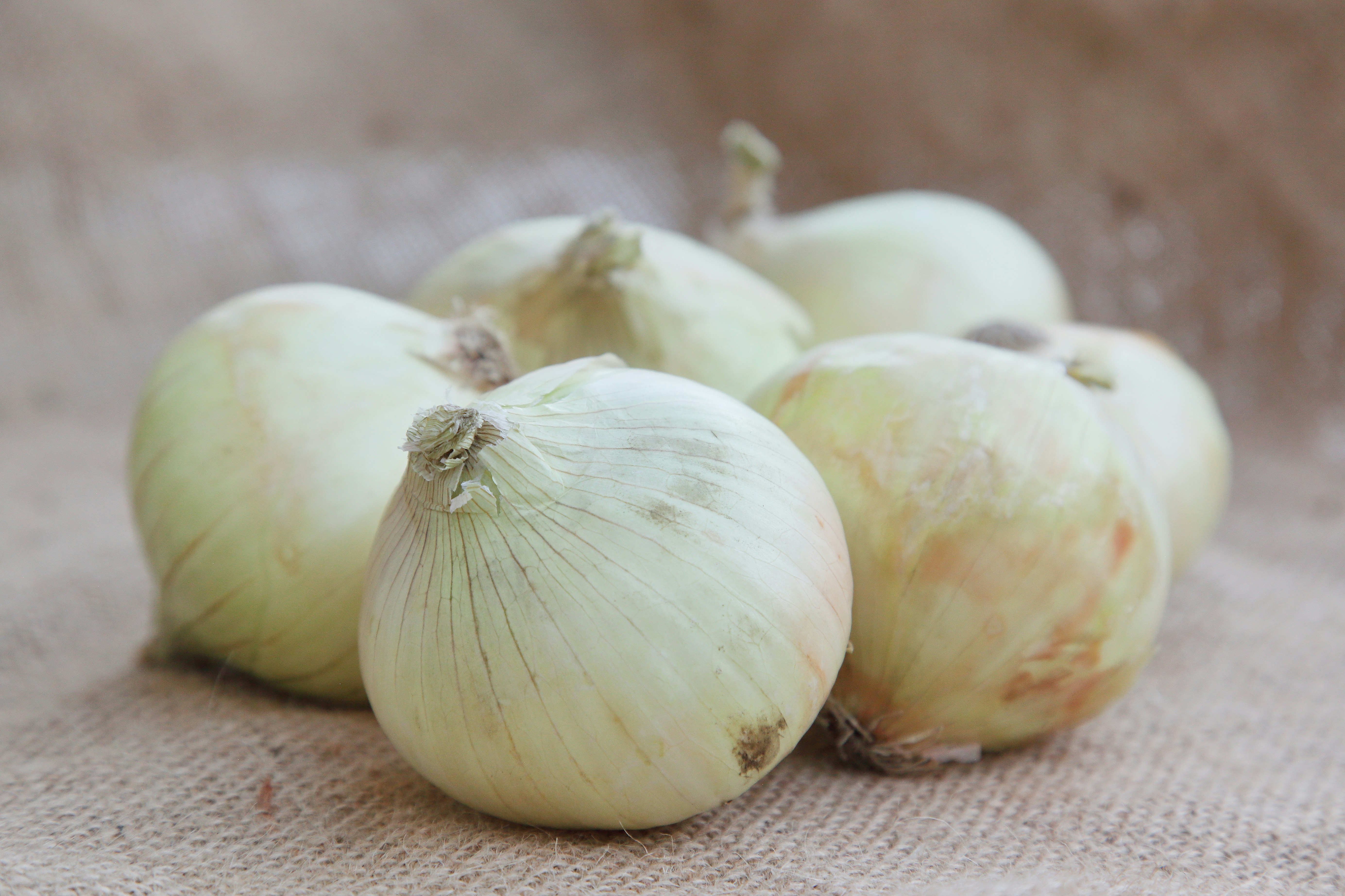 Pile of pale onions on coarse burlapcape