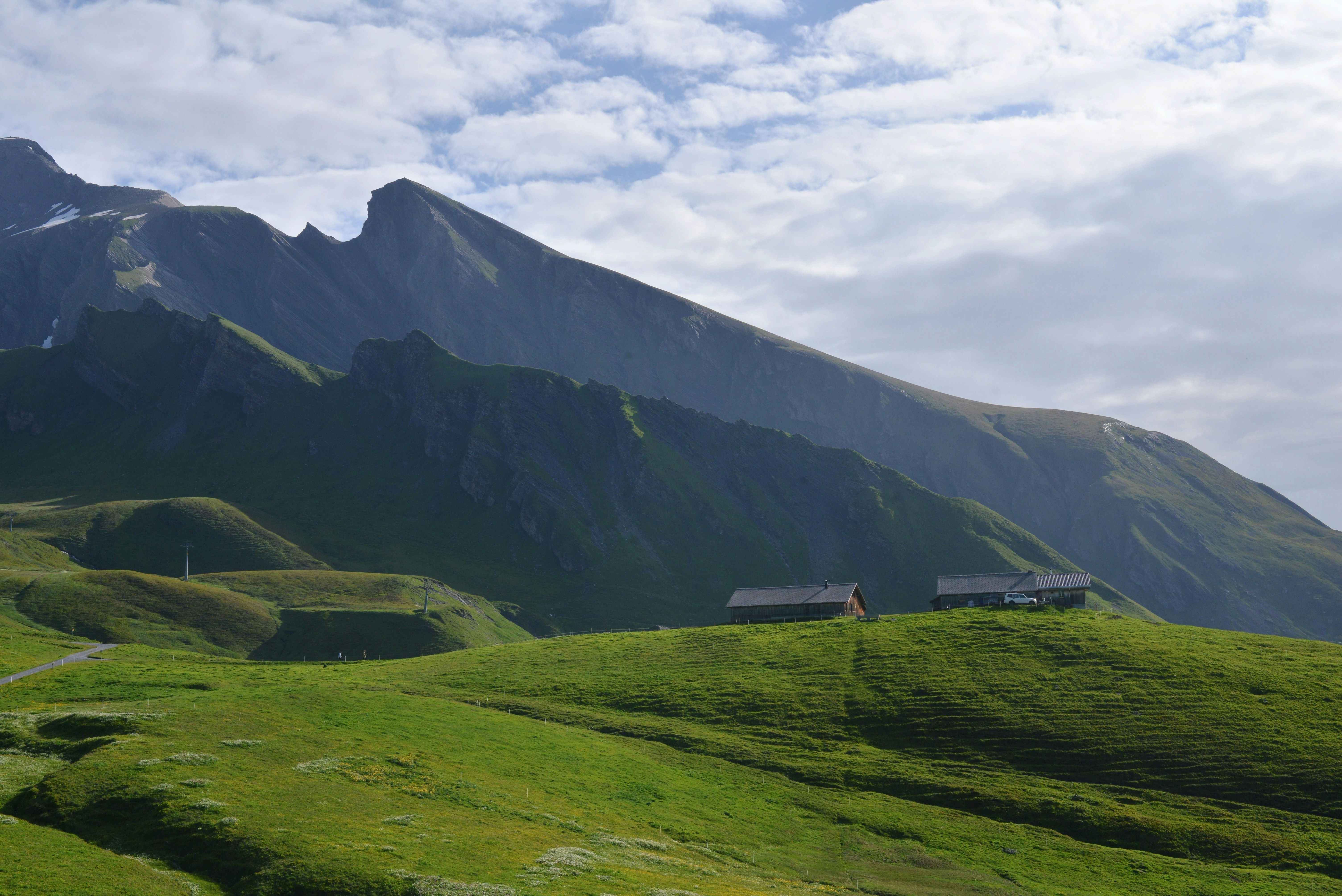 Pasture Ridge under Alpine Heights