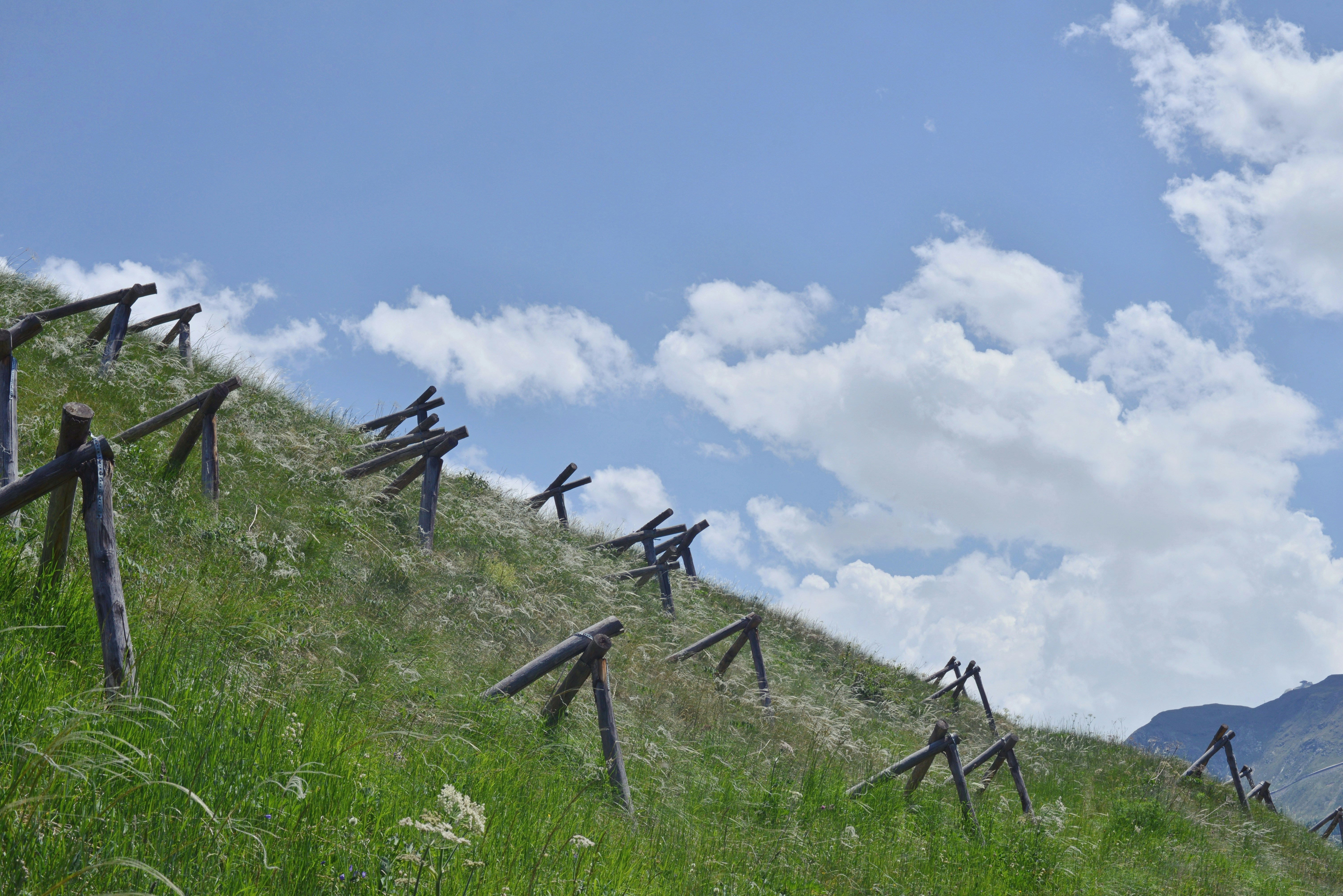 Windworn Fence Lines on a Sloped Meadow