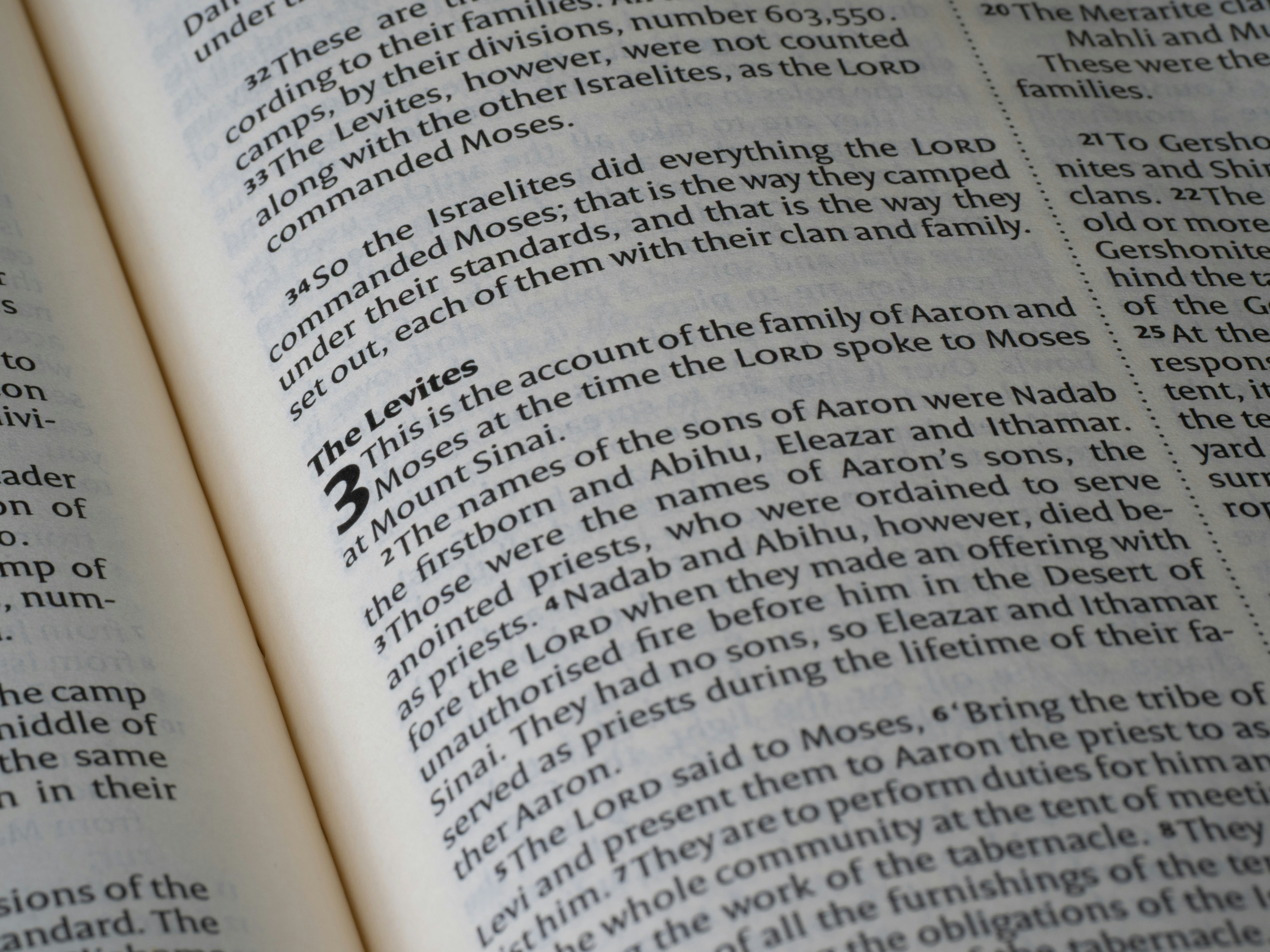 Scriptural Pages in Focus: A Close-Up of Paragraphs in a Bible