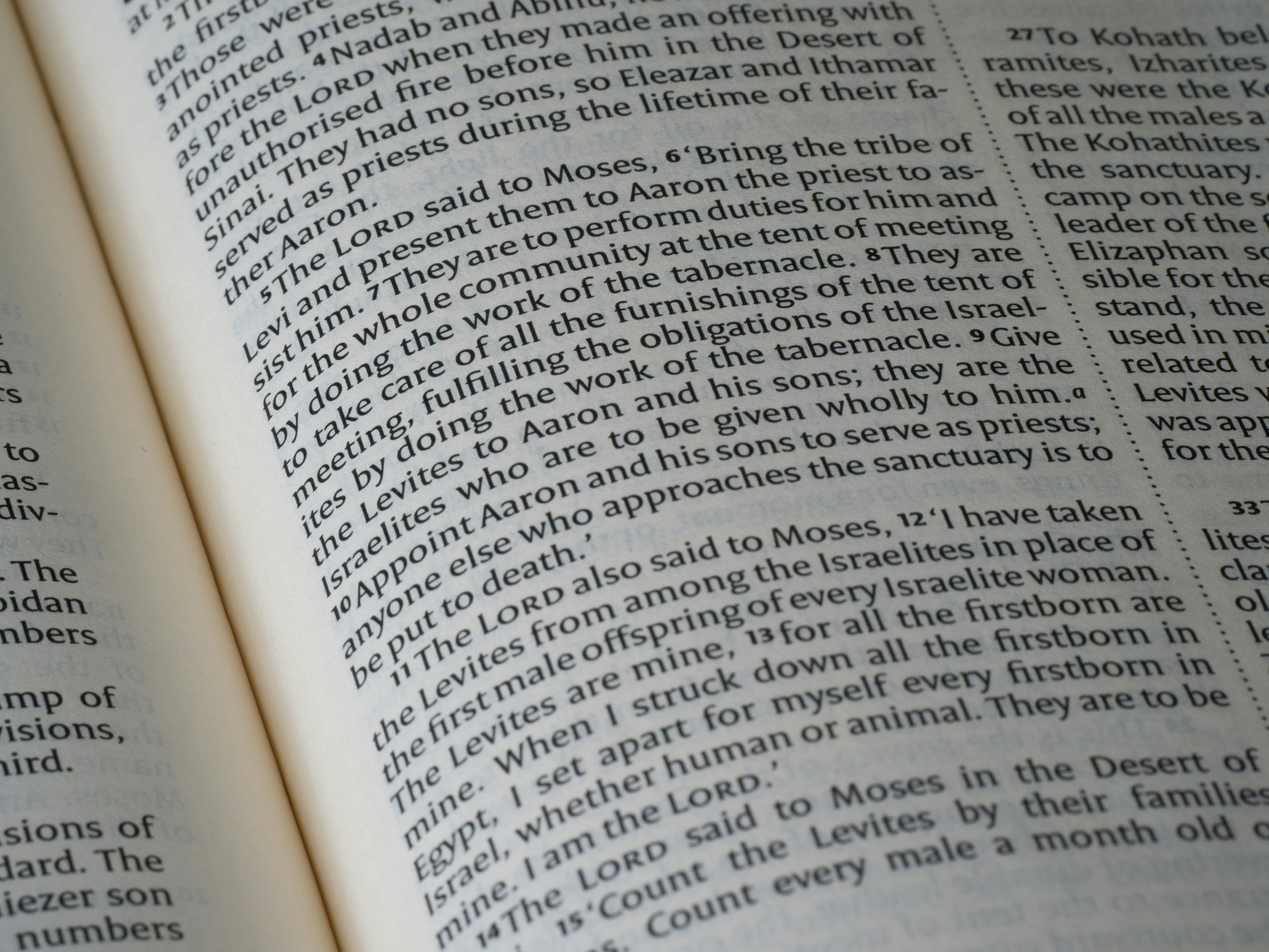 Spiral Margin: A Close Read of Printed Pages