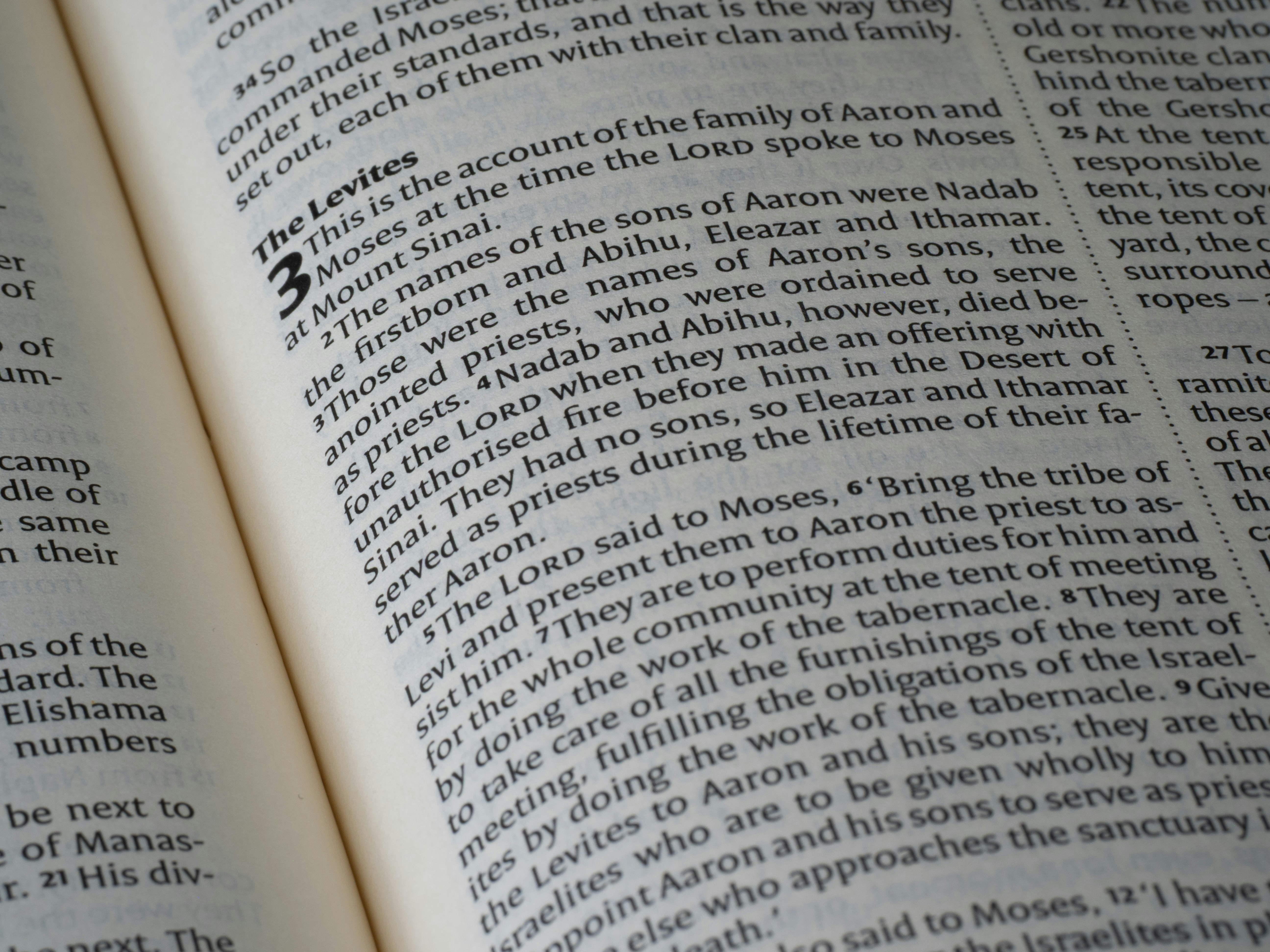 Close-Quoted Corners: A Page-Edge Perspective in Soft Focus