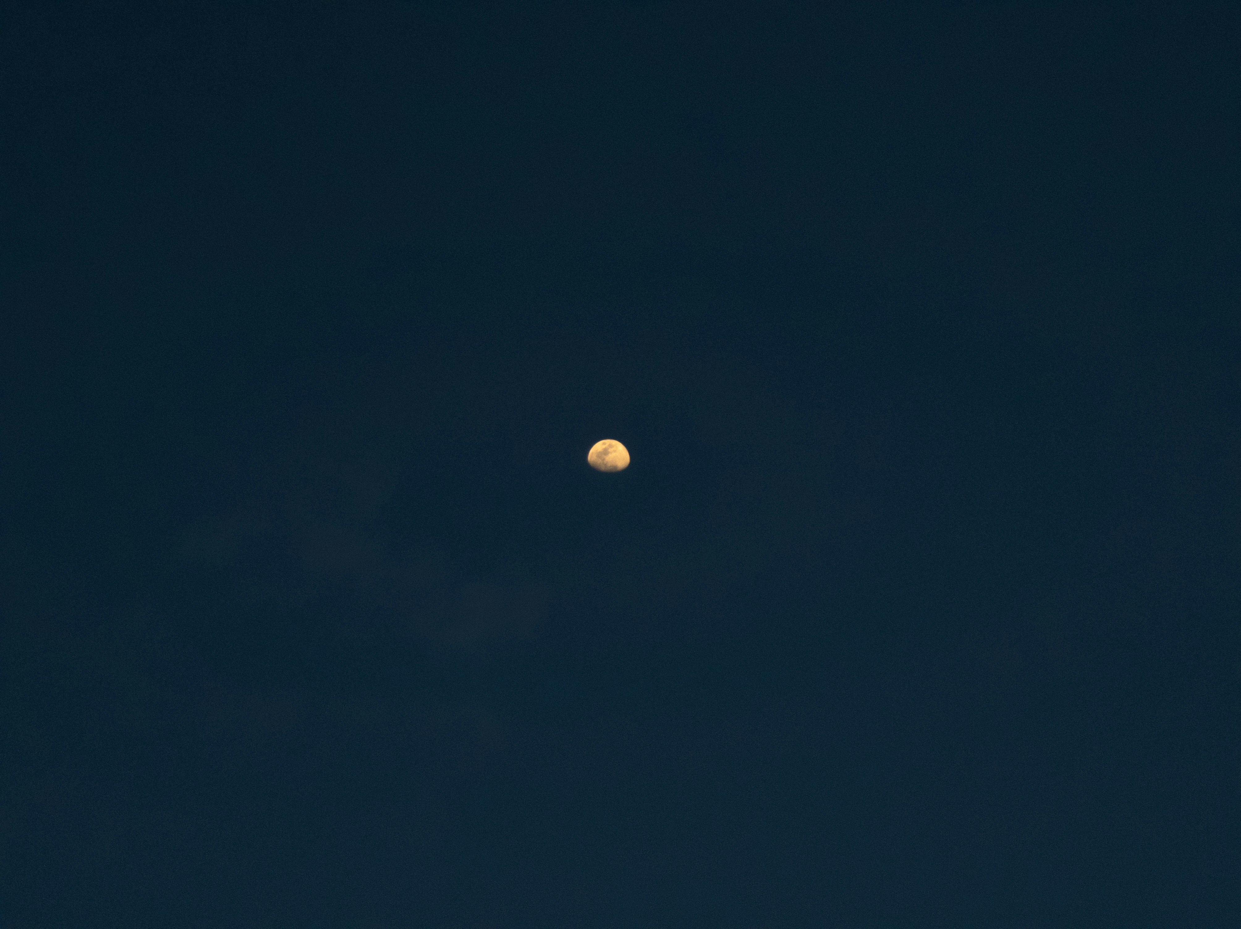 Lone Moon in a Quiet Evening Sky
