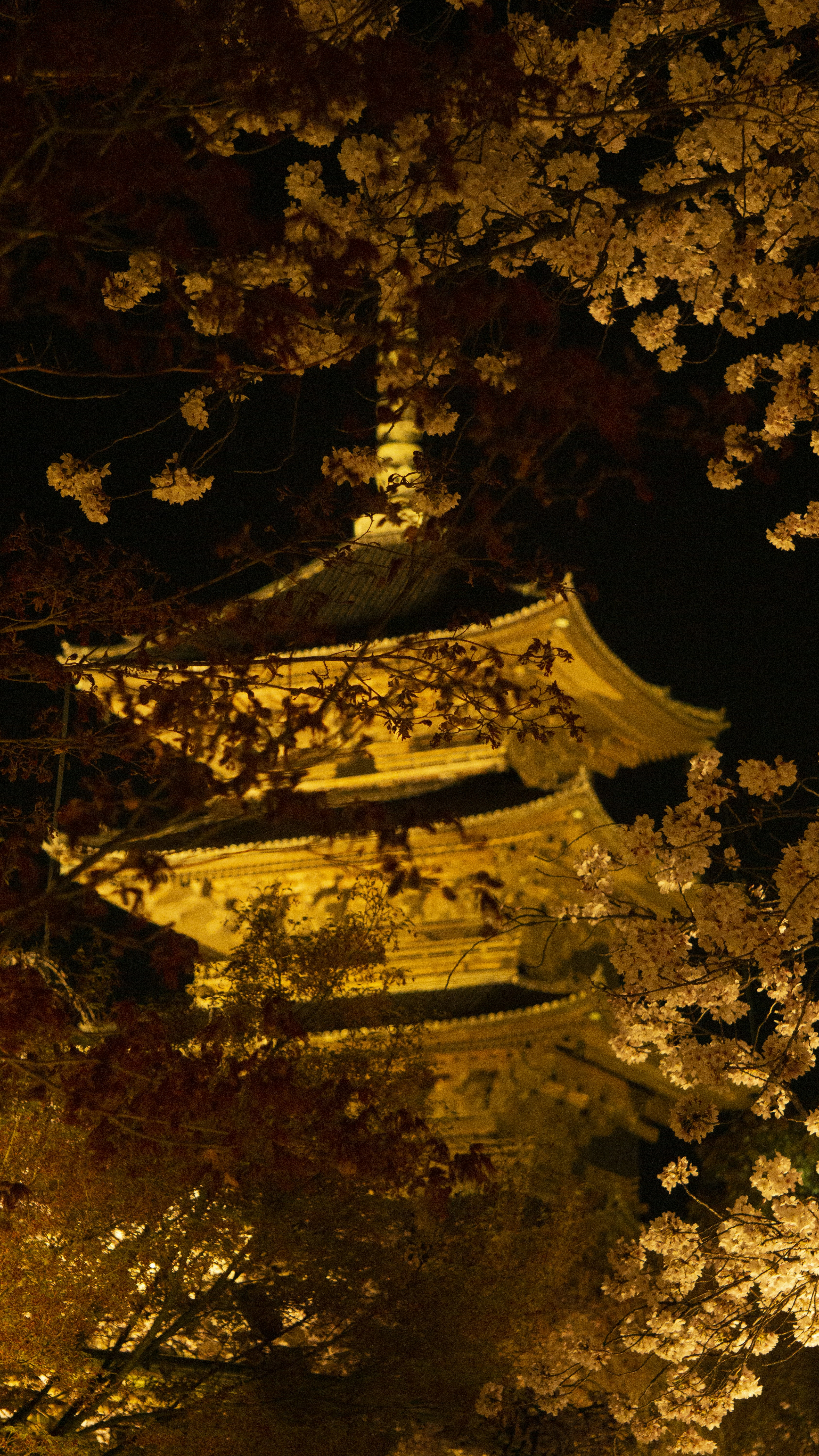 Night Bloom over a Golden Pagoda
