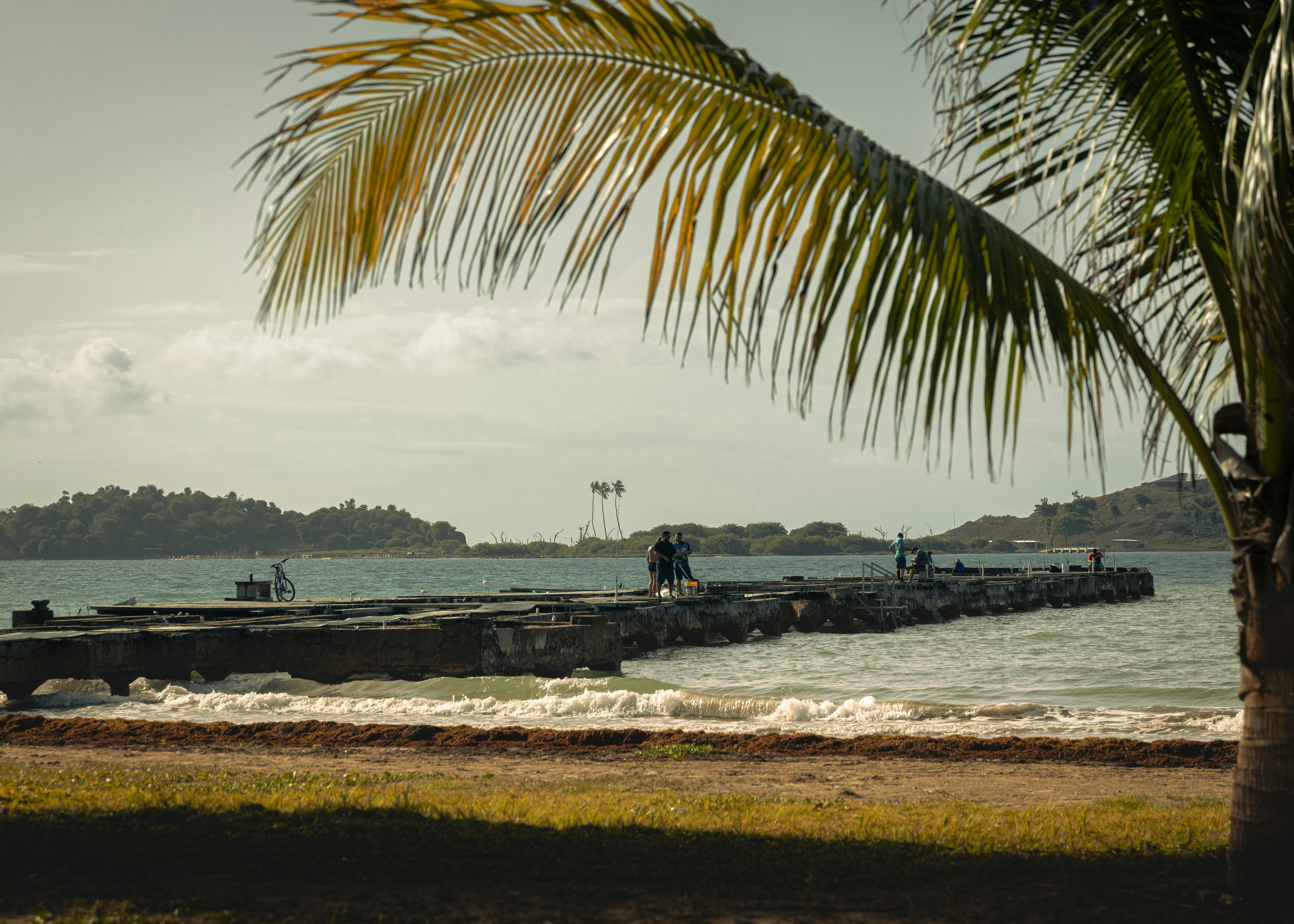 Palm-fringed pier at the edge of a tranquil tropical bay