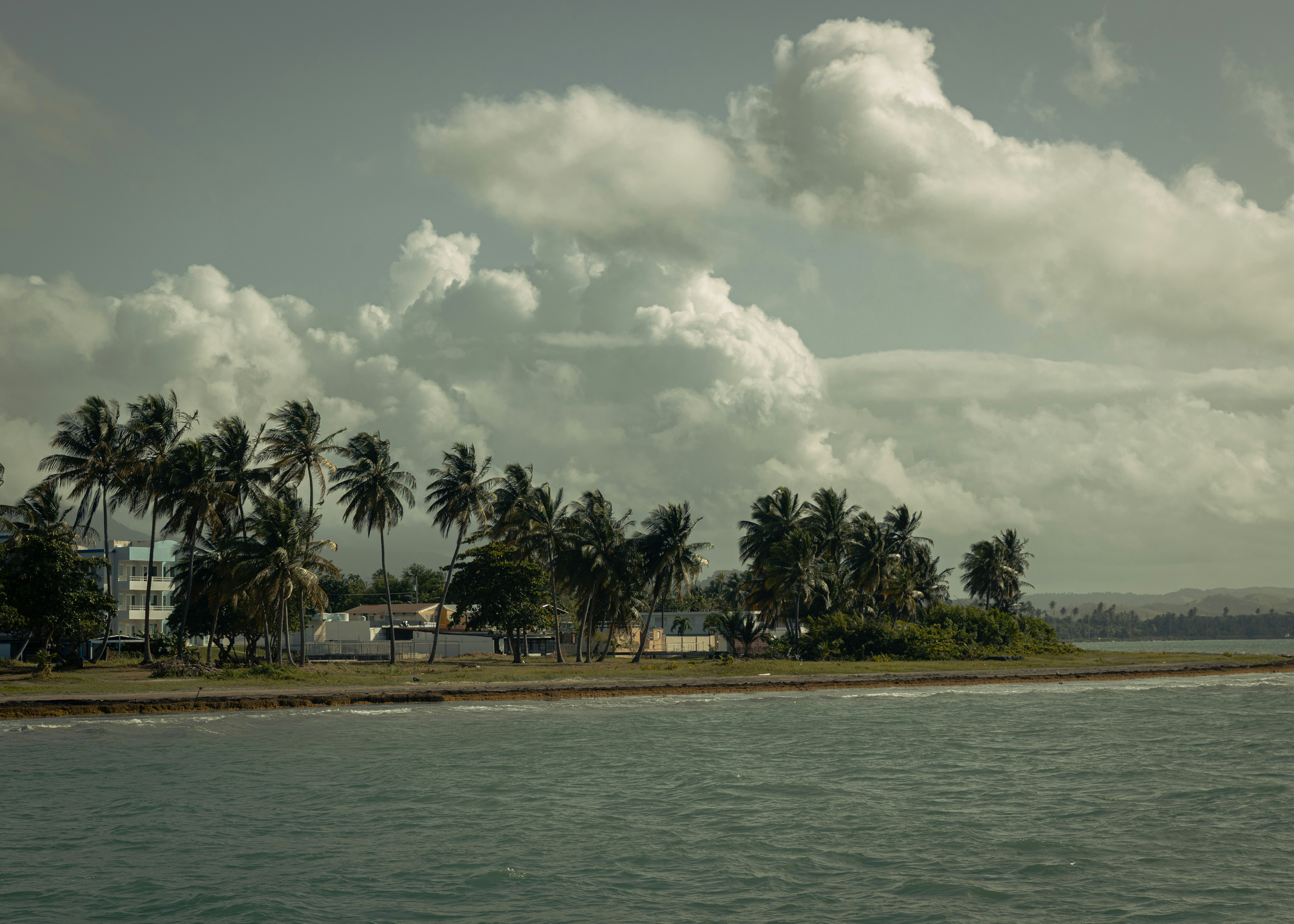 Palm-lined shore with scattered houses along a calm coastline, under a sky filled with fluffy clouds.