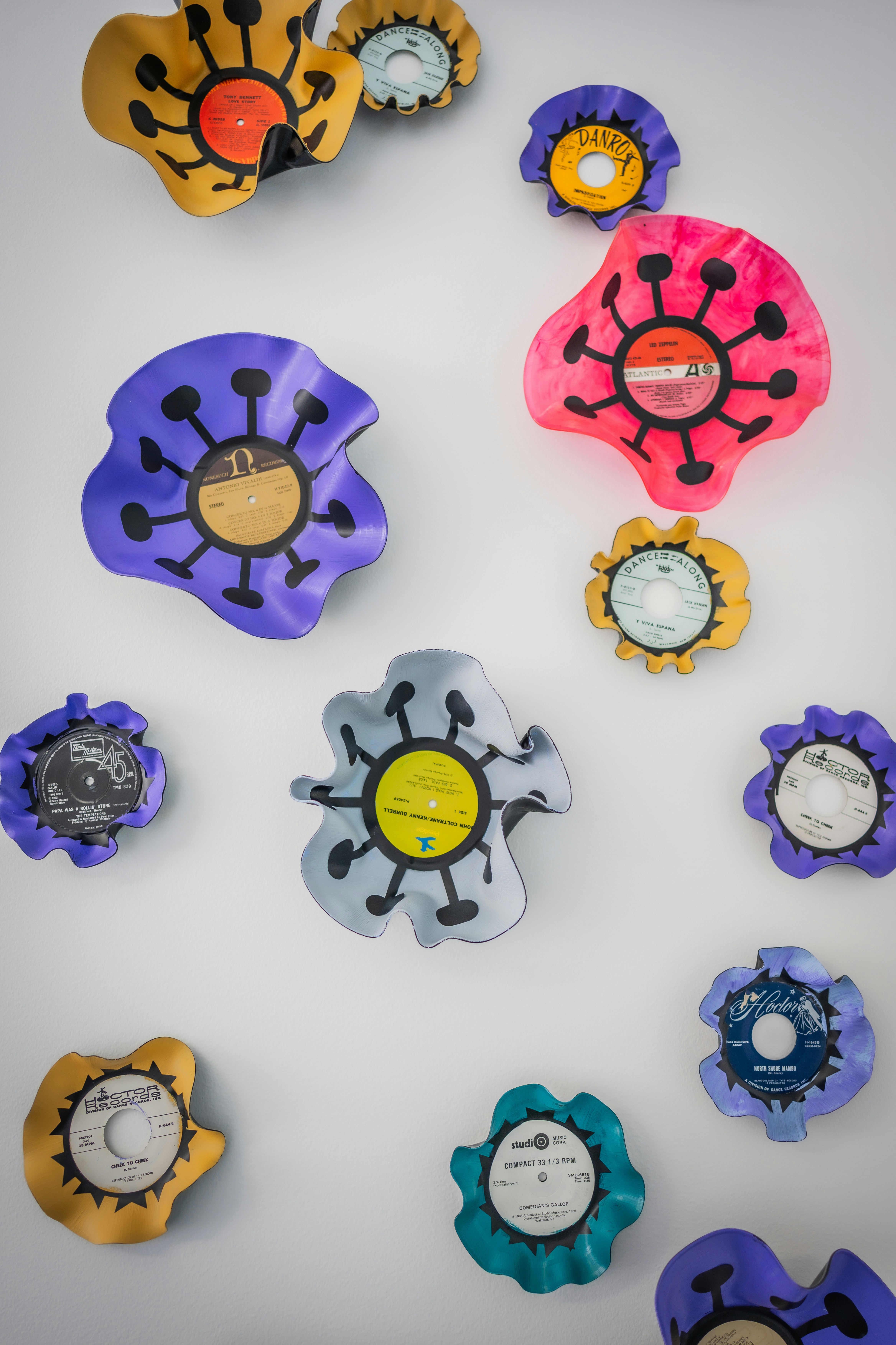 Vibrant Vinyl Constellation: Flowers of Sound Adorn a White Gallery Wall