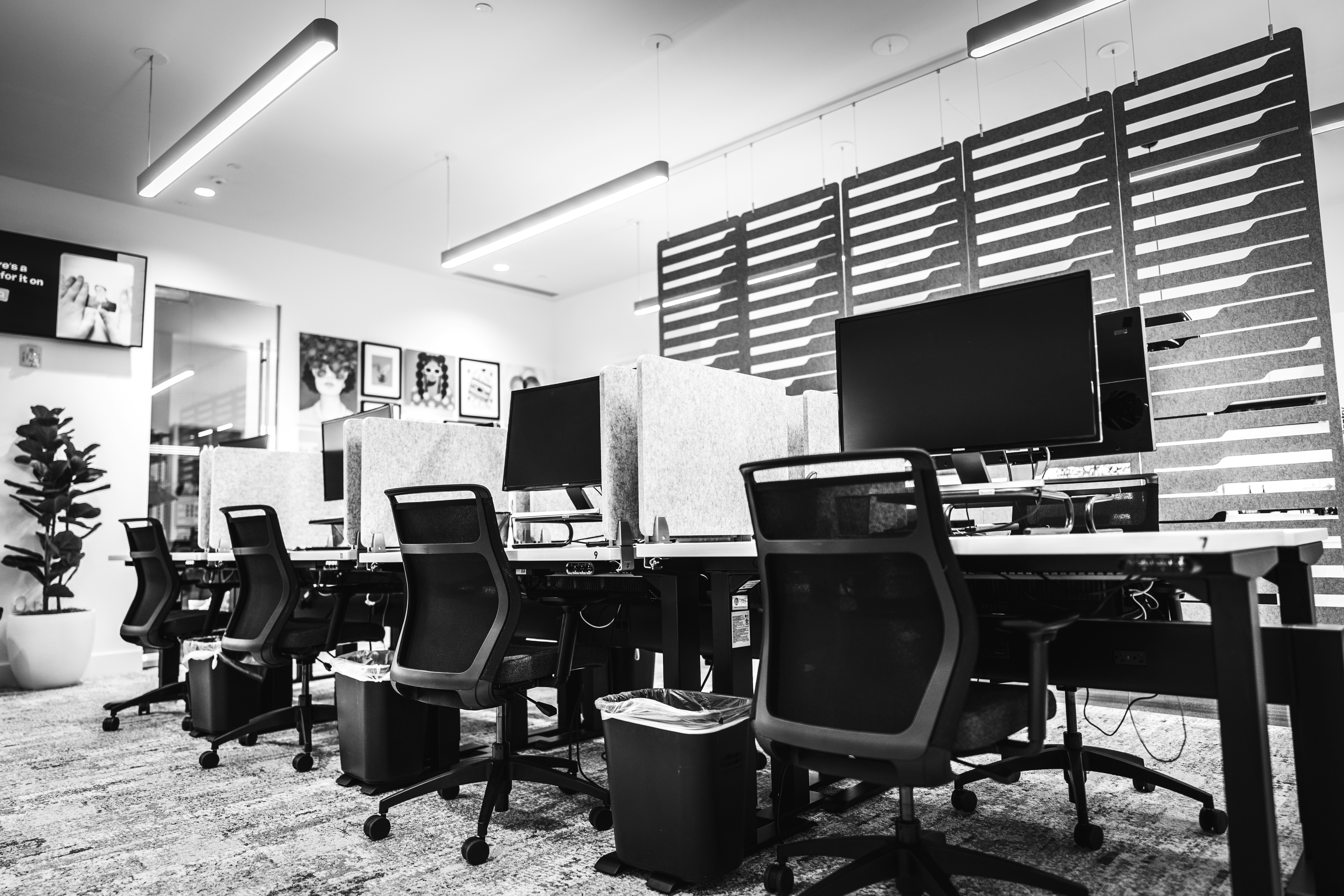 Monochrome office scene showing rows of desks with computers and ergonomic chairs; a calm, open-plan workspace with modern lighting and partitions. This is a corporate interior photograph highlighting workspace layout.