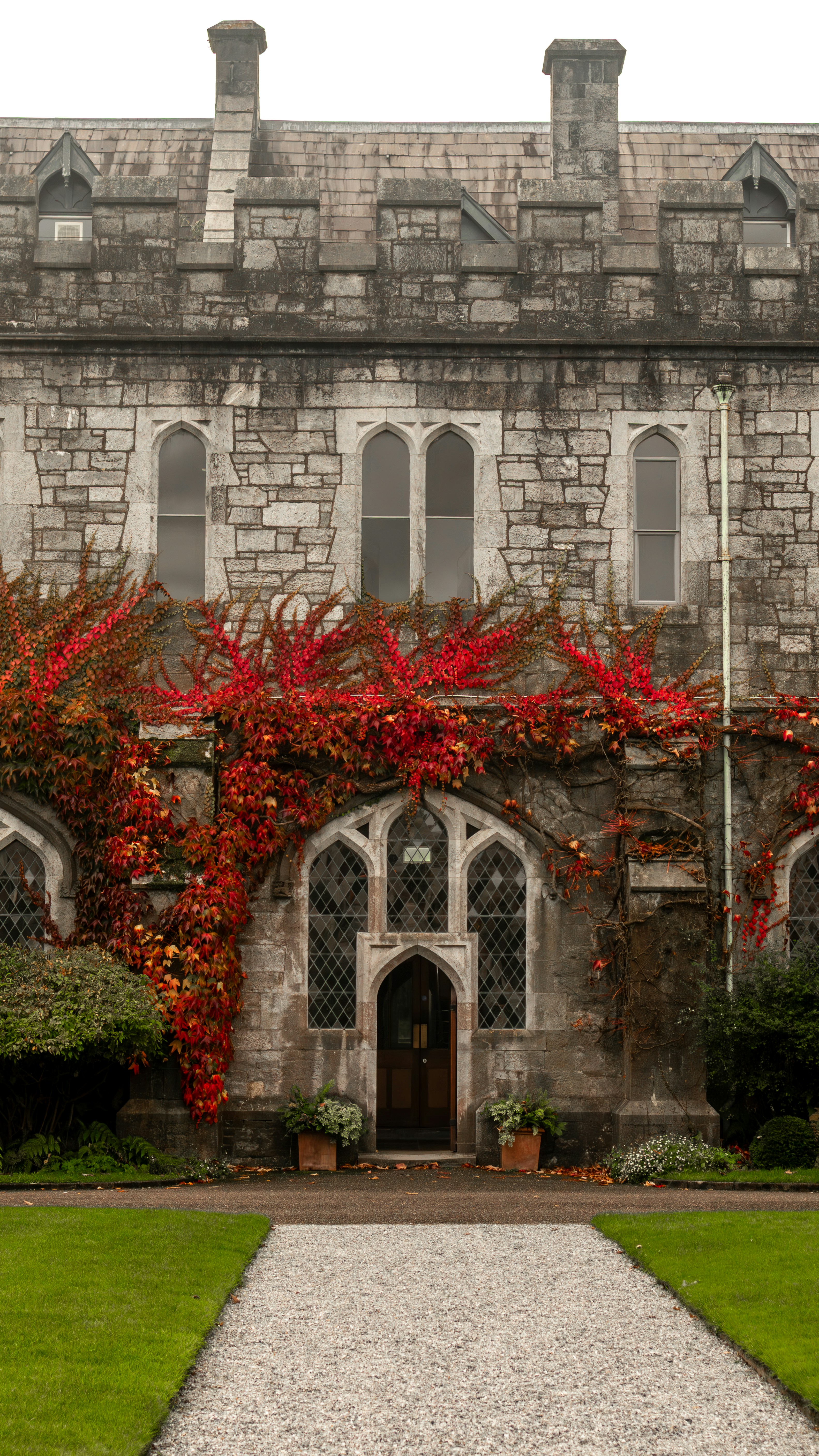 Ivy-framed Gothic Entryway of the Stone Manor