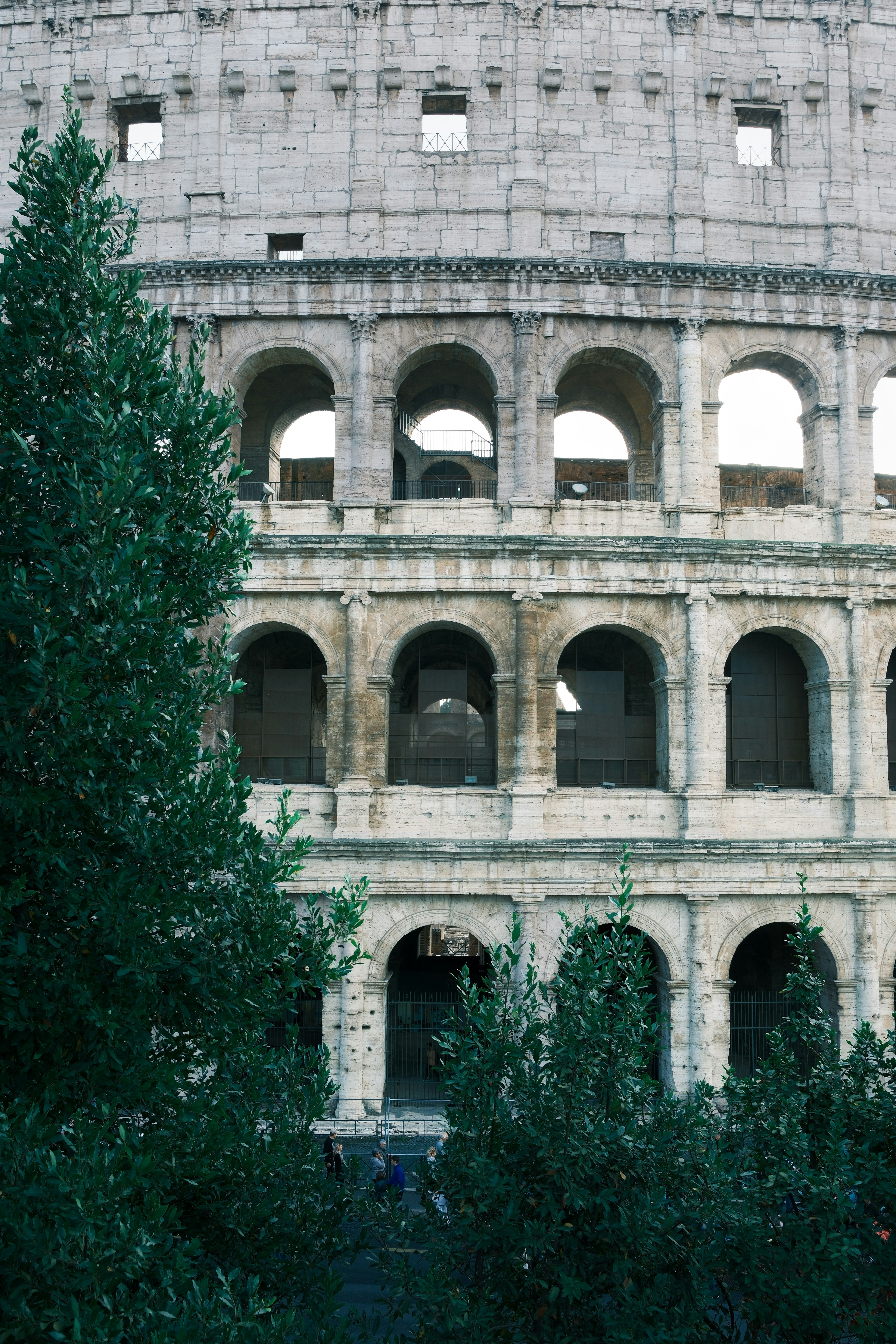 Ancient Colonnade Emerges Behind Verdant Veil