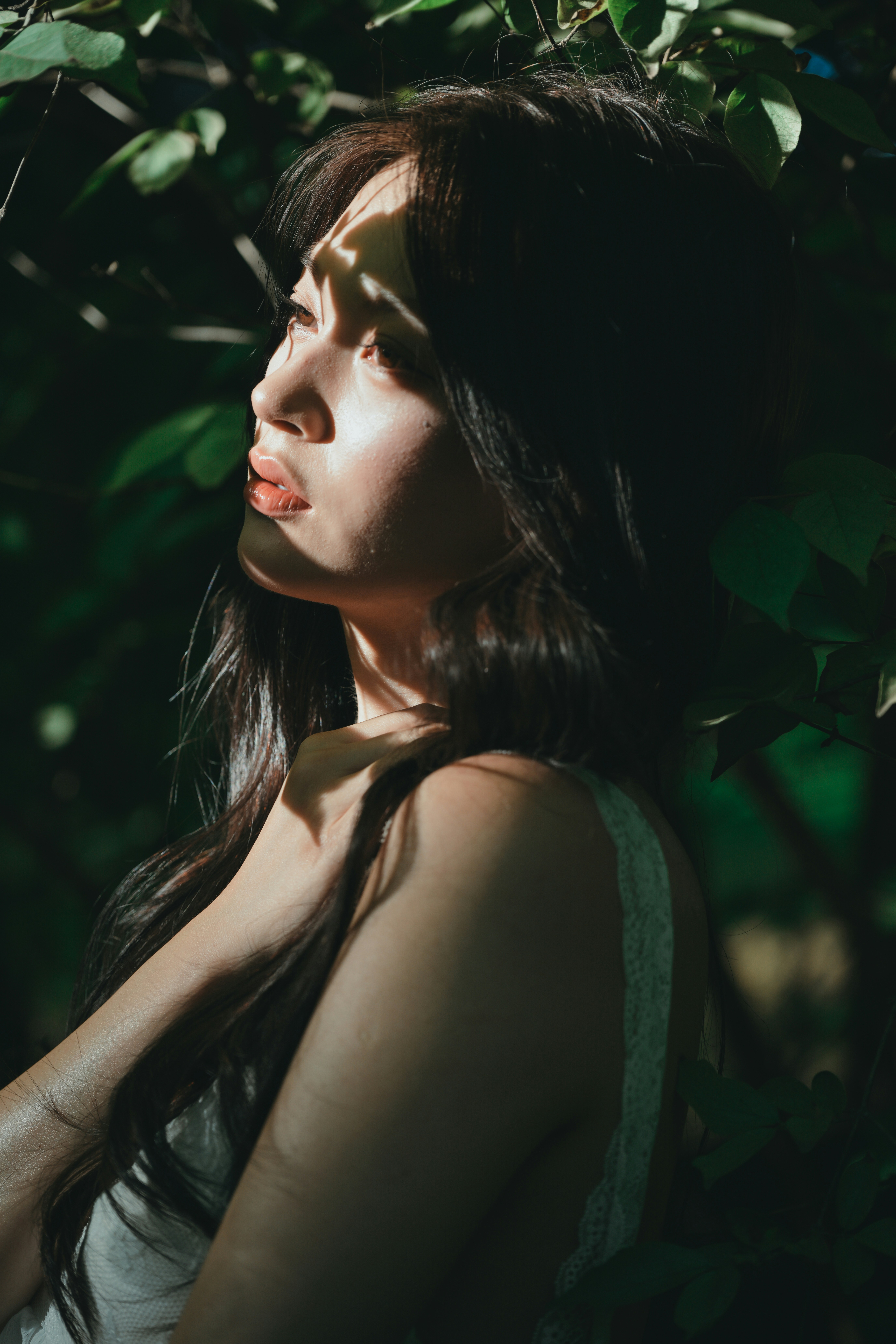 Sunlit Contemplation: A Portrait in Shadow and Leaf