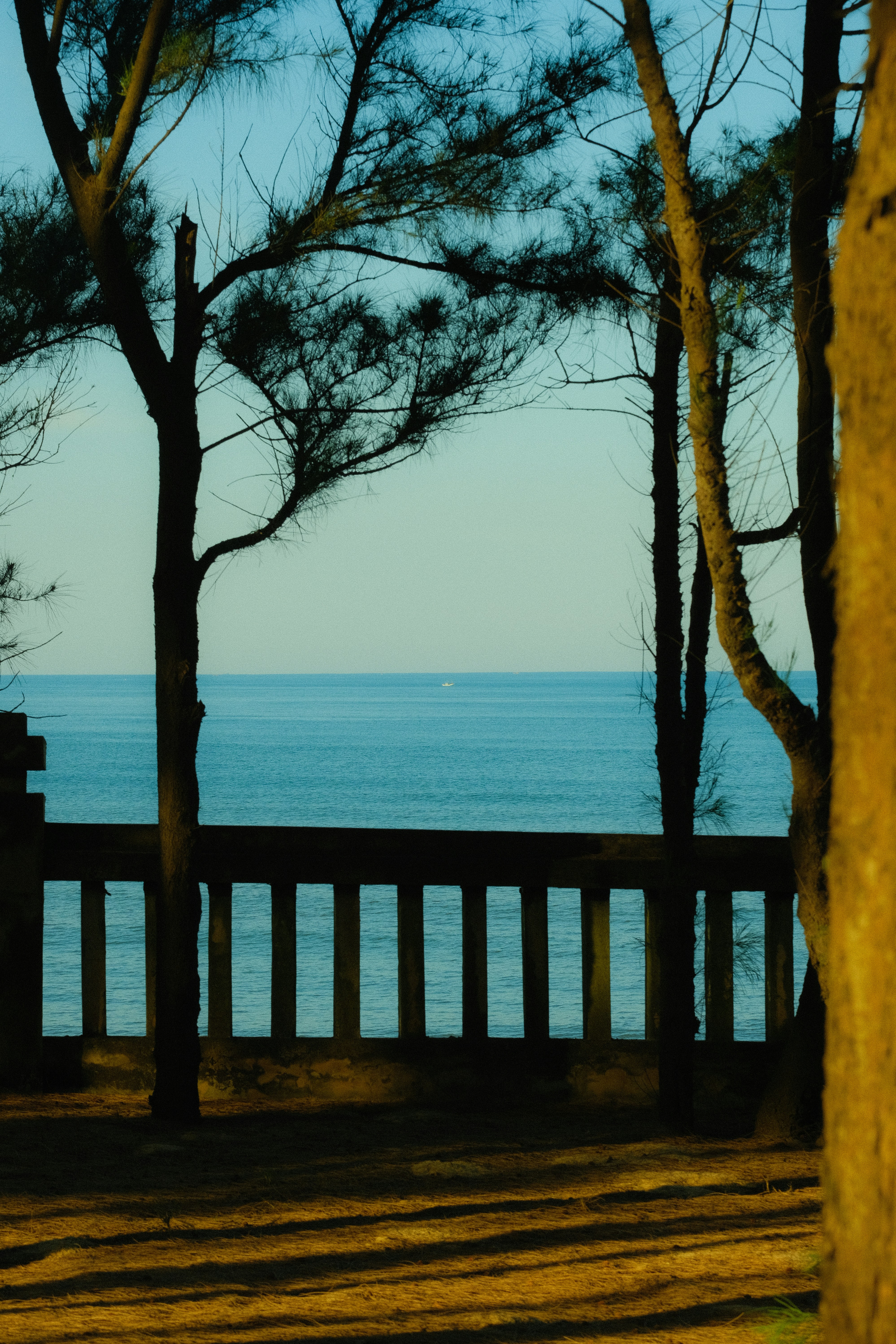Sea View Through a Woodland Balcony
