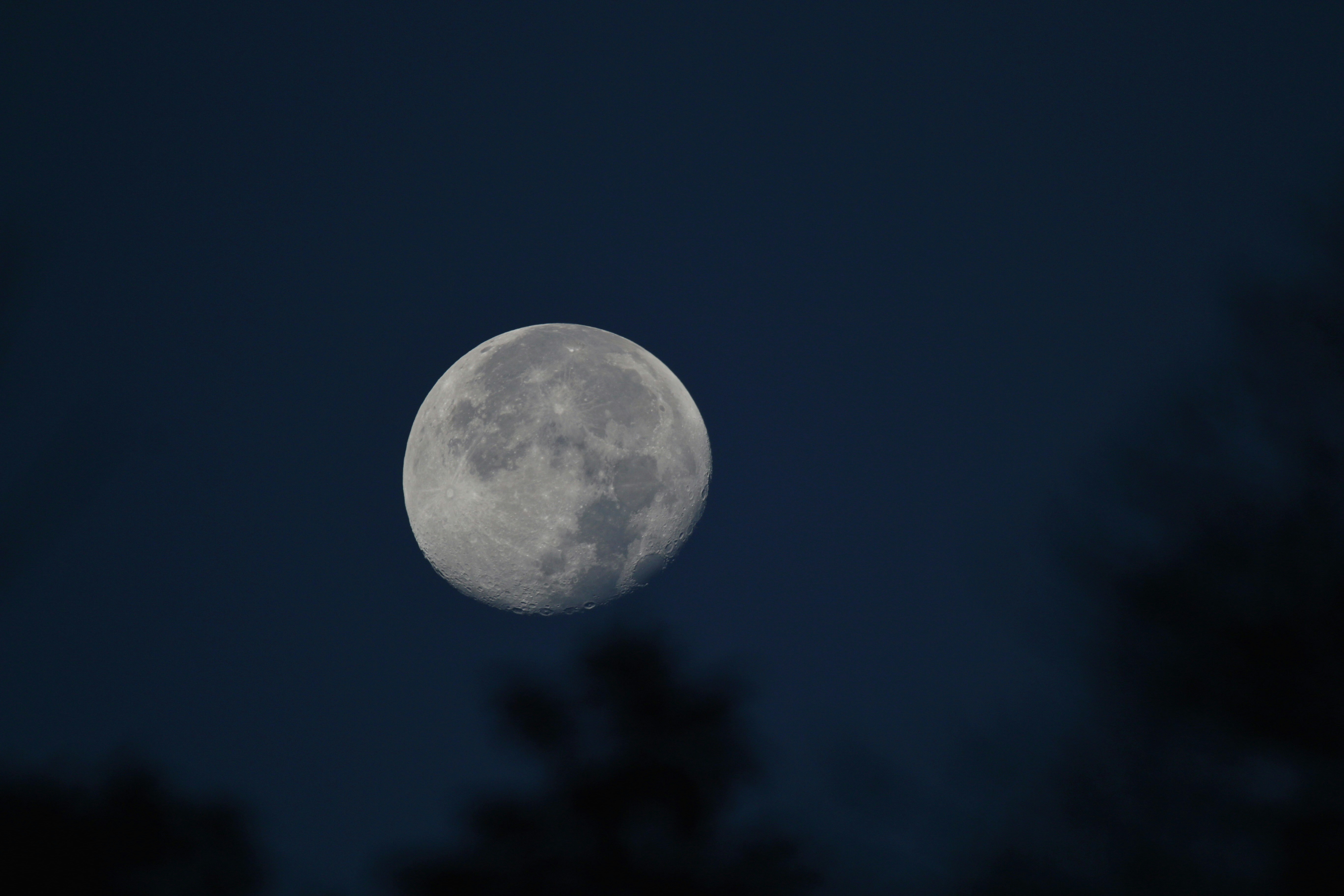 Moonrise in a Quiet Night Sky