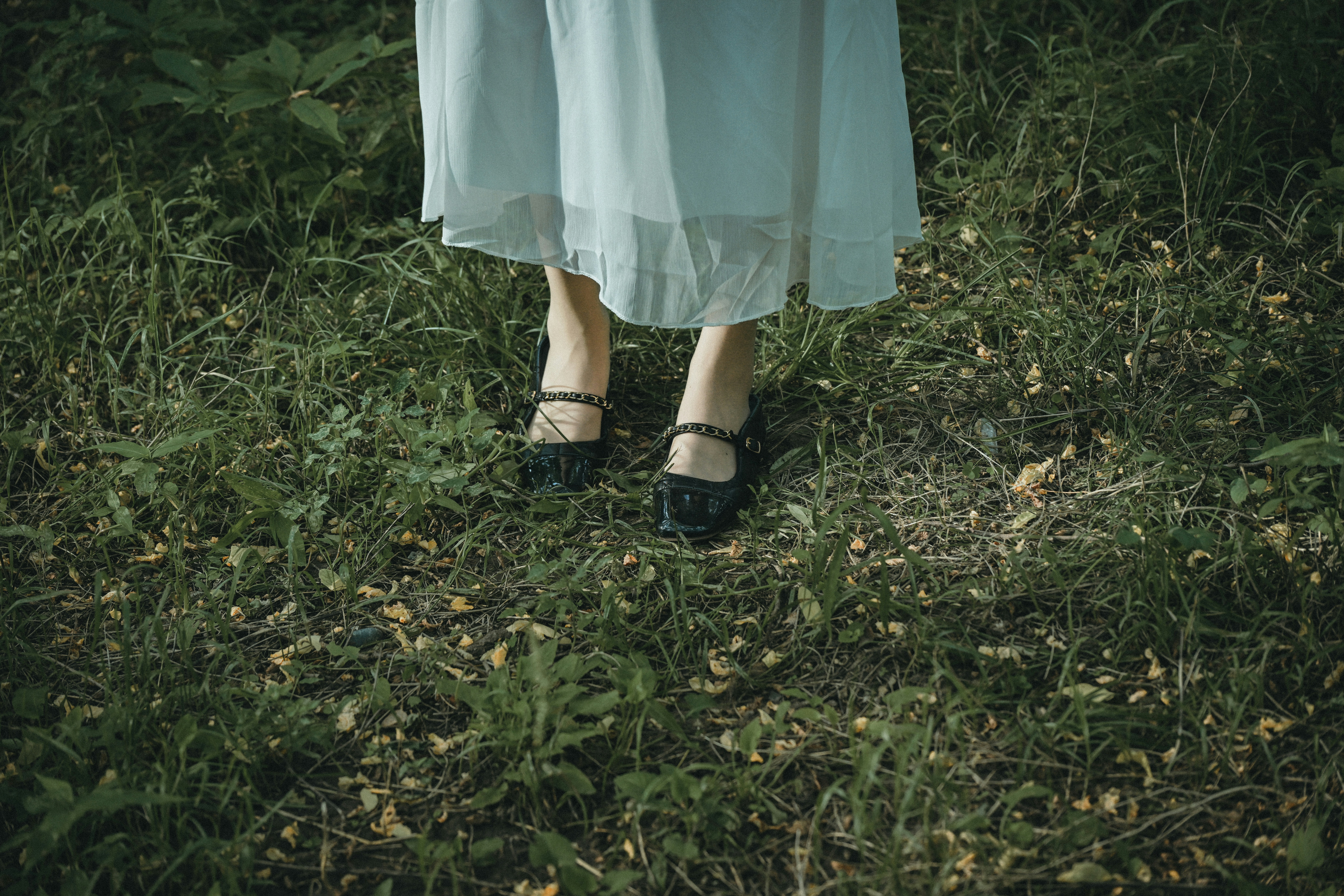 Barefoot to Bare Patch: A Quiet Step into the Meadow