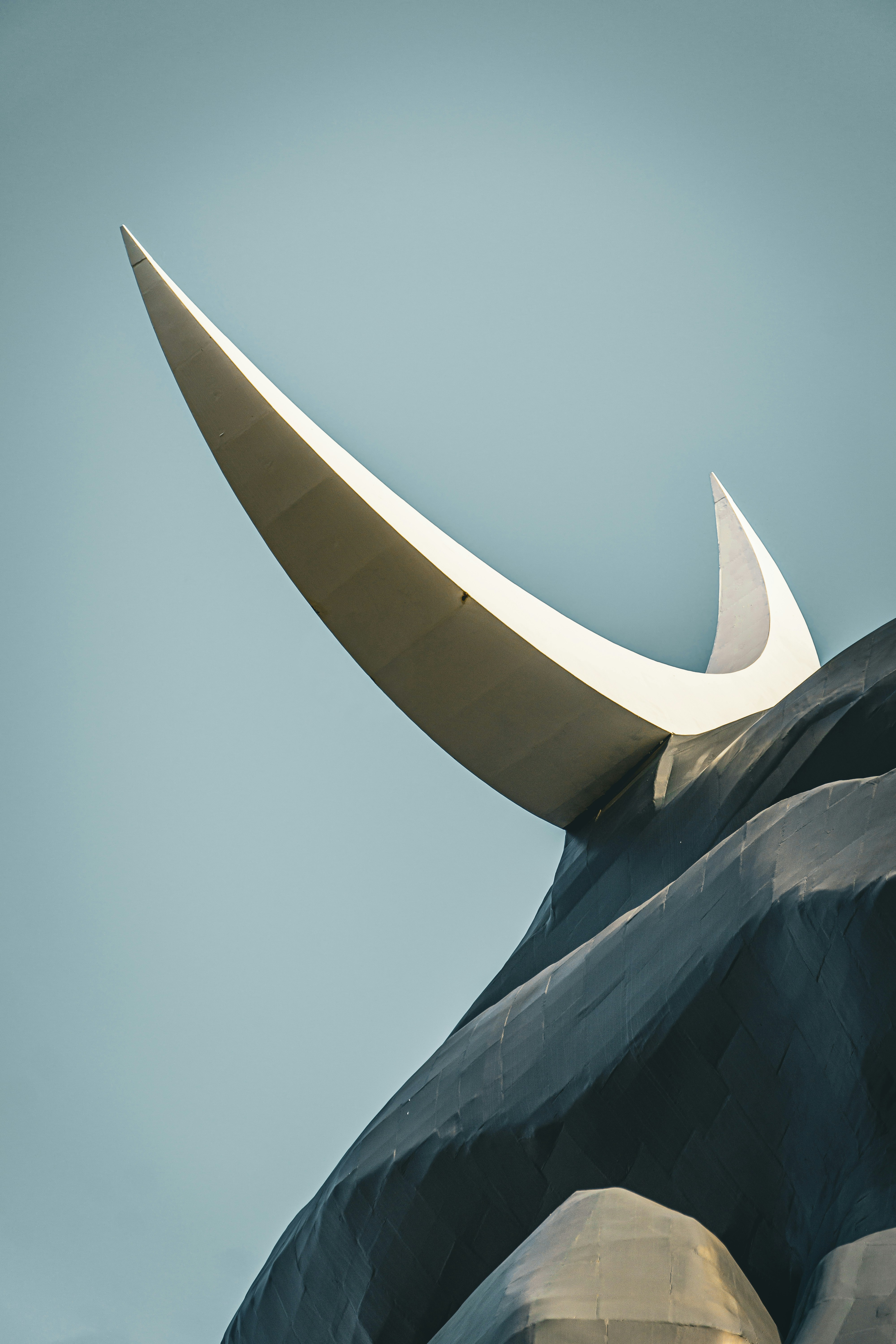 Curved Horns Against a Calm Sky