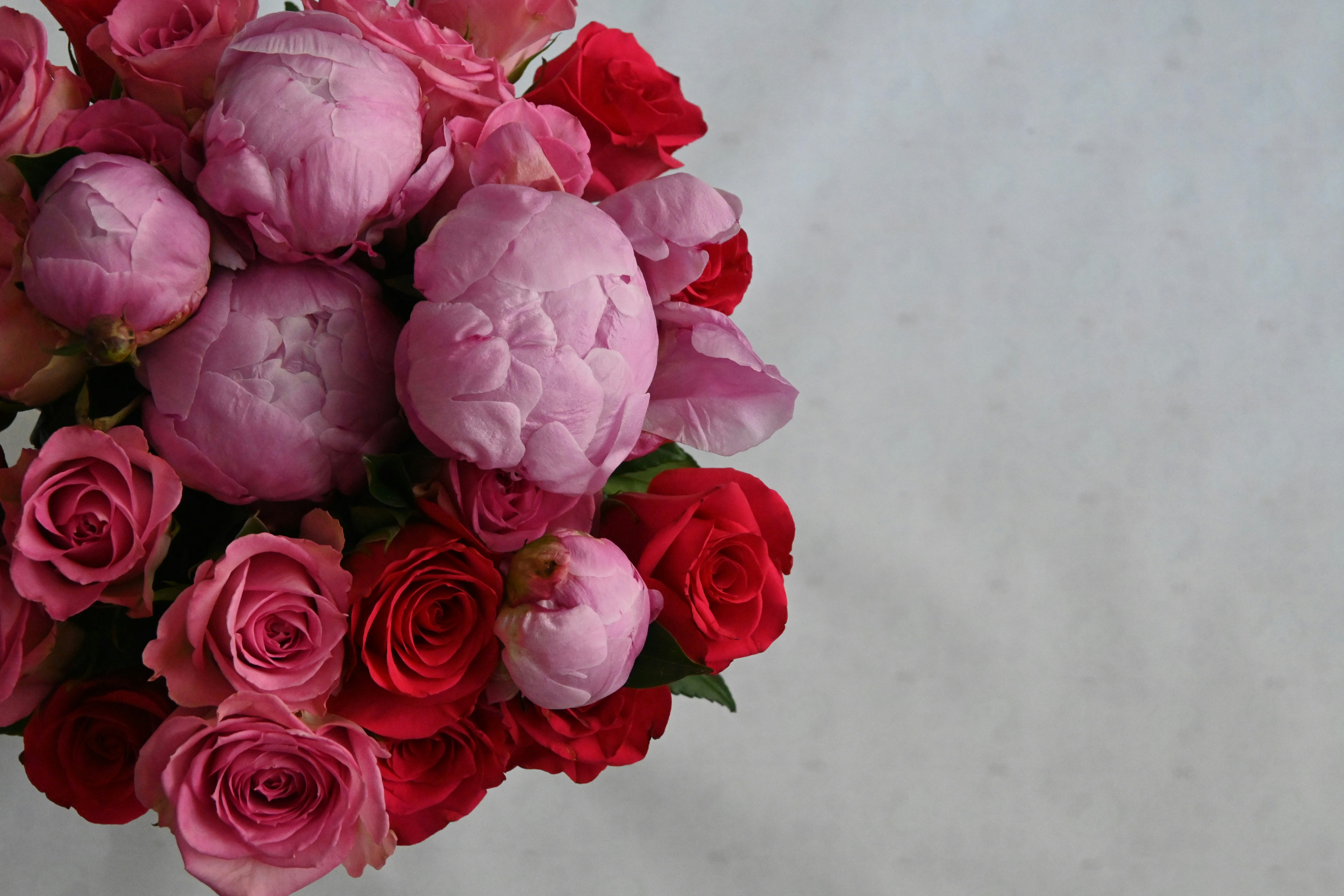 Rosy Crest: A bouquet of pink peonies and roses resting on a pale surface