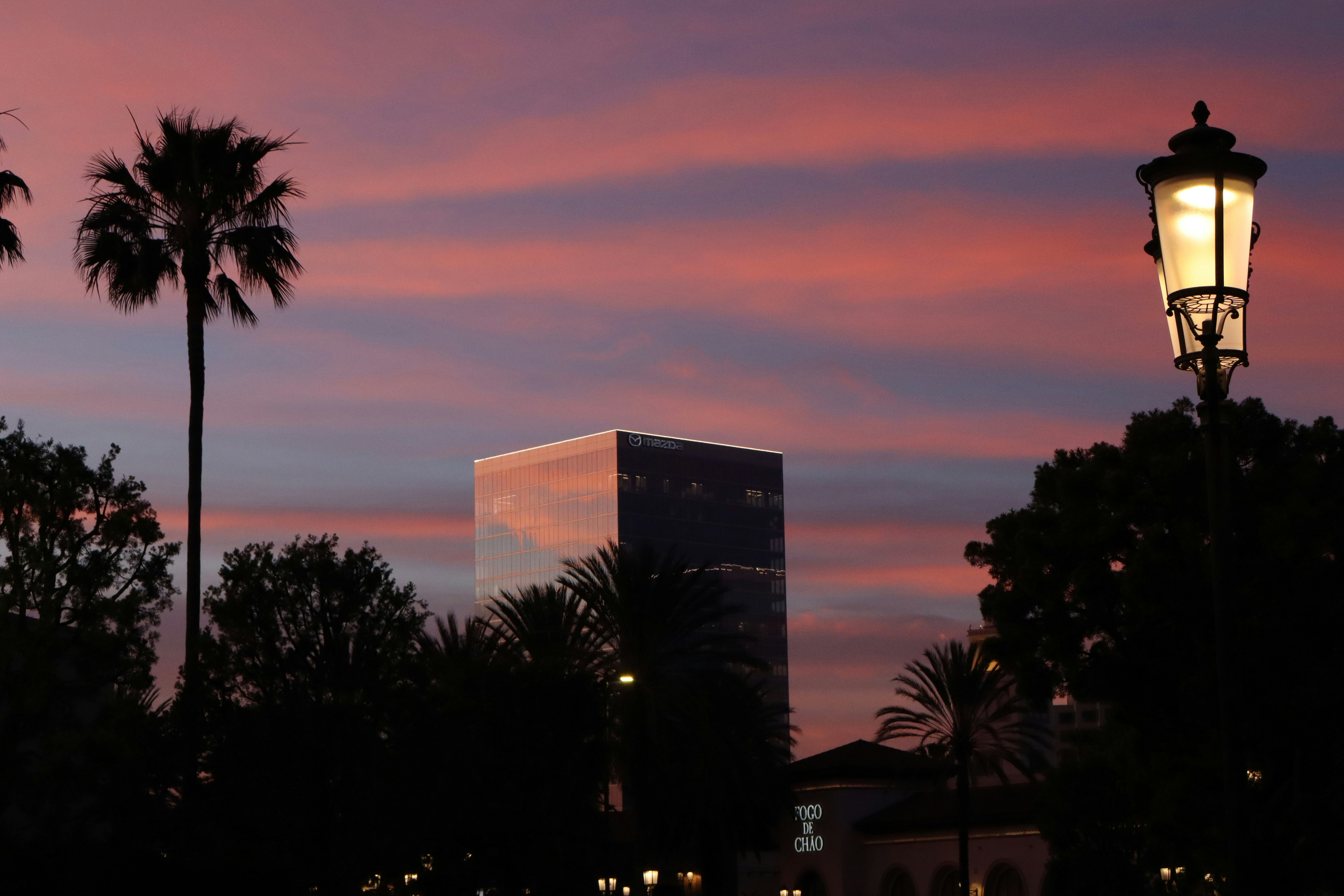 Silhouetted palm trees and a glassy tower frame a warm sunset sky with a vintage lamp post in the foreground.