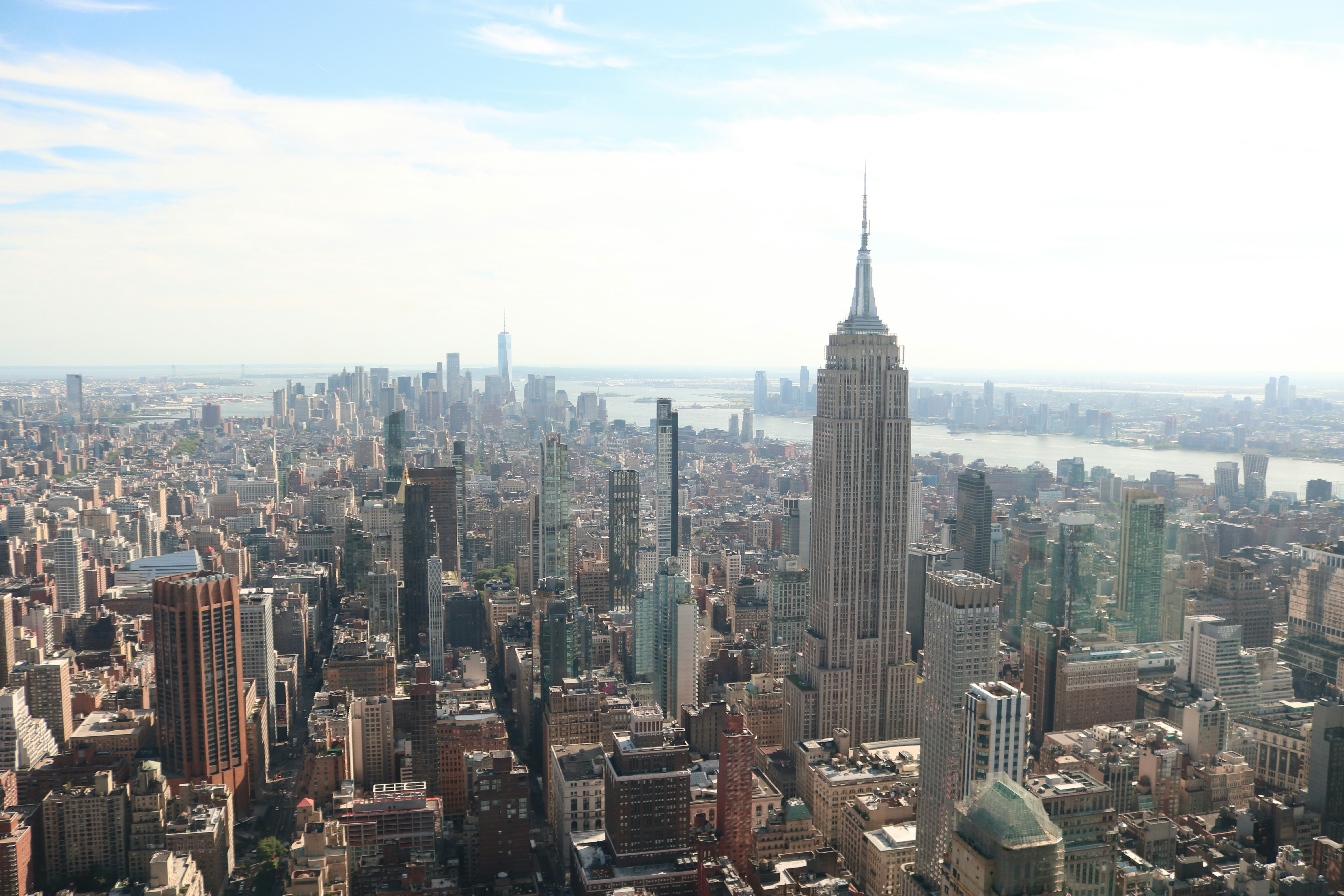 Skyline Sentinel: Empire State and a Sea of Towers