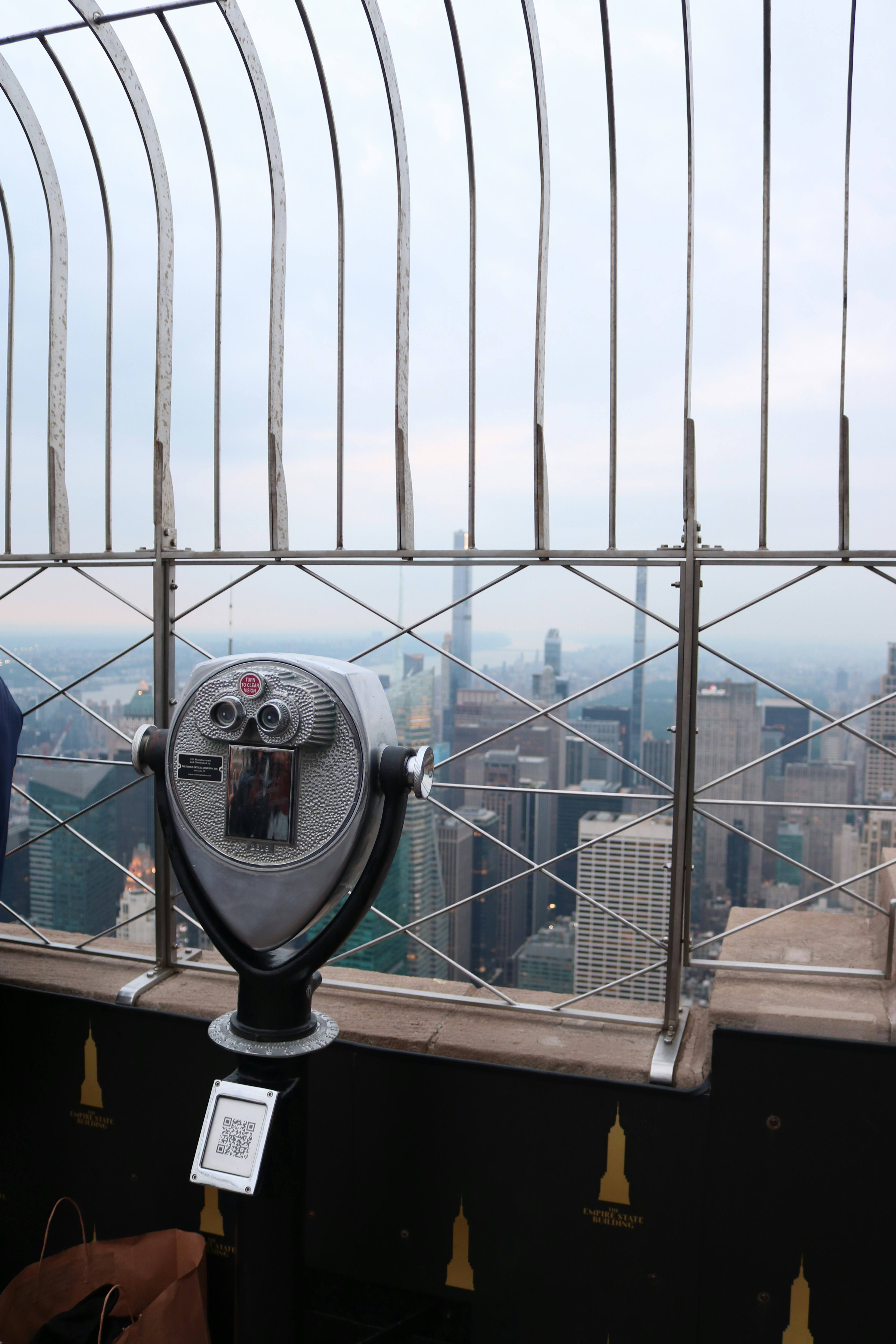 City View through a Gridded Viewing Platform