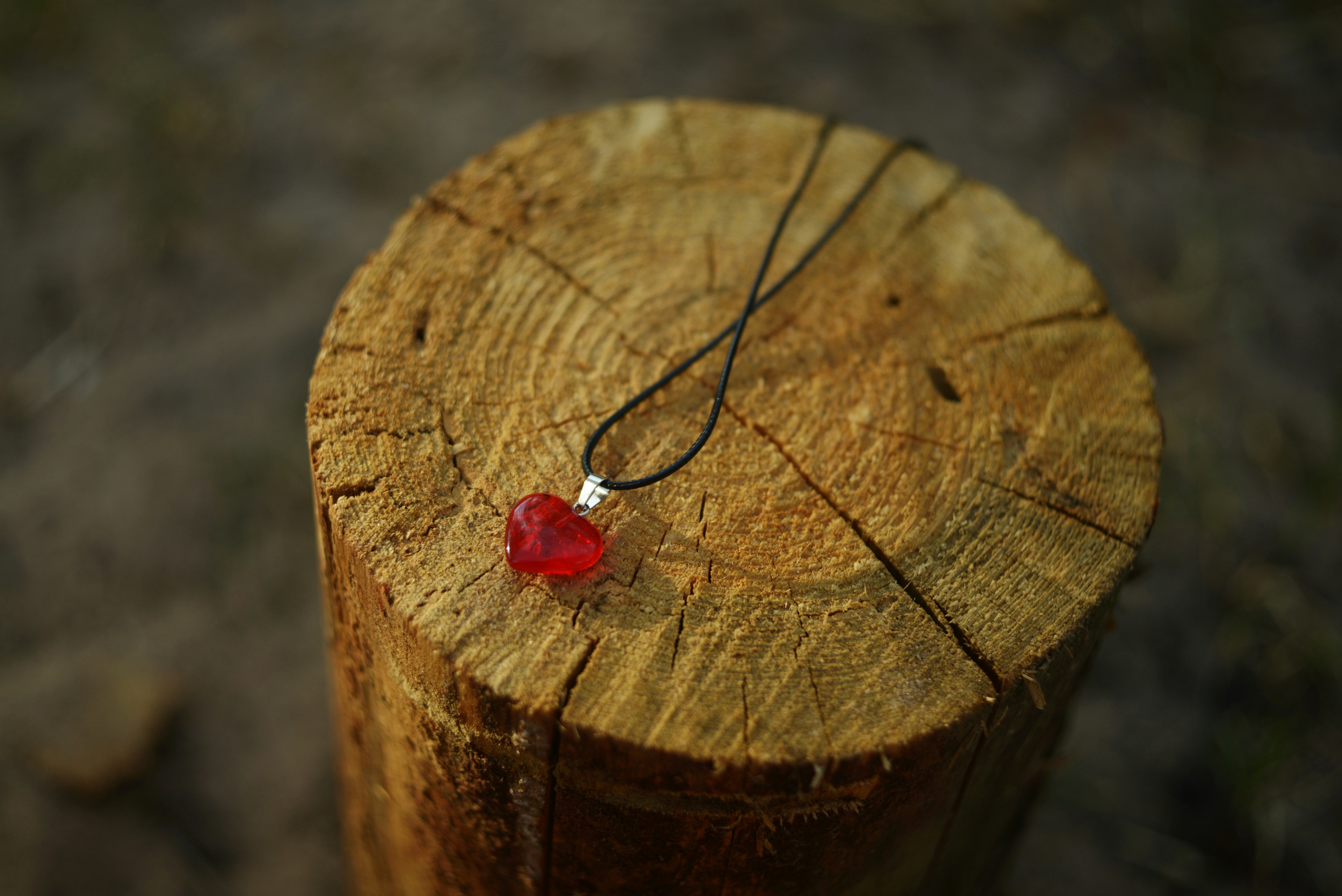 Photo by Liana S with Nikon D600
