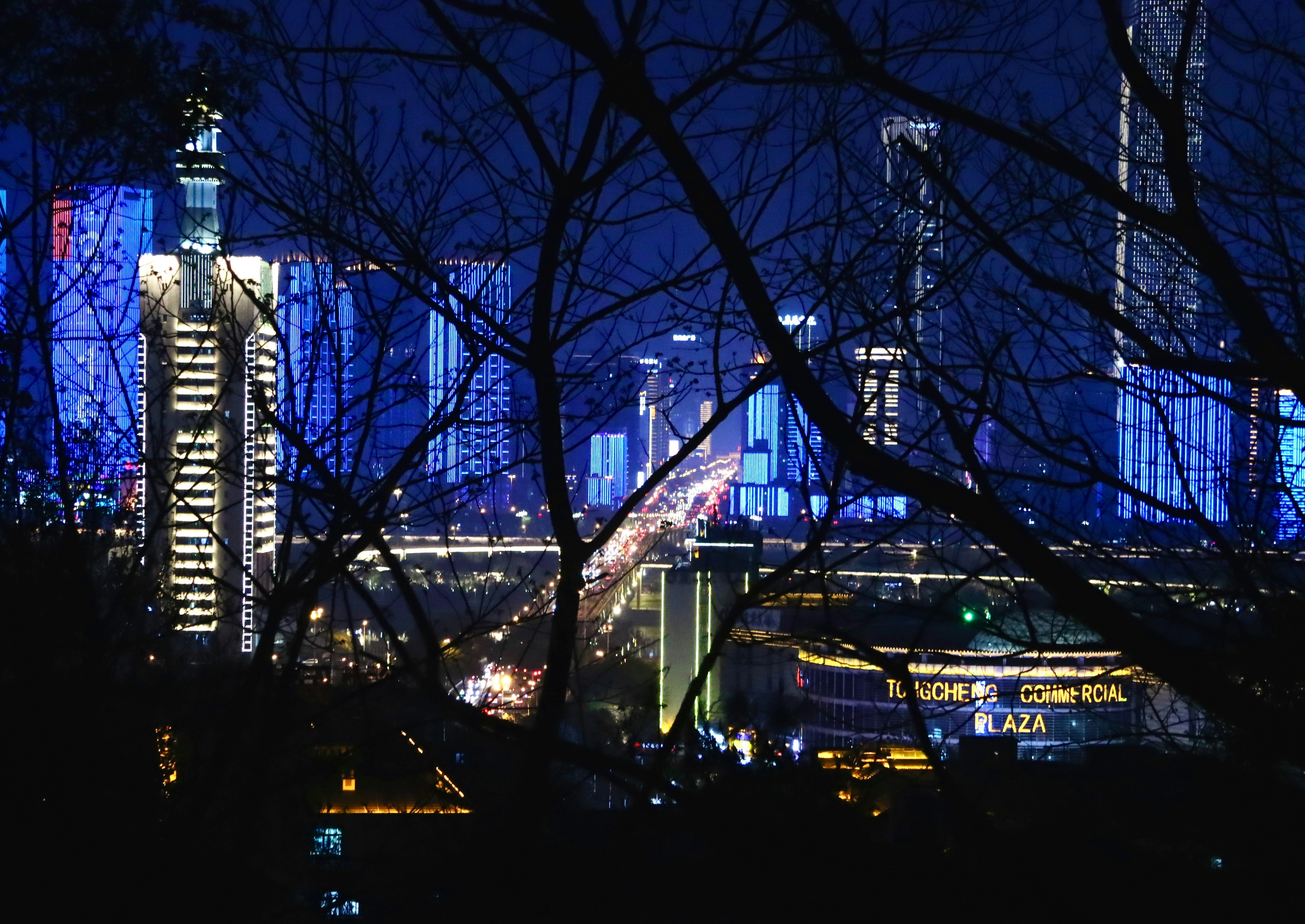 Neon Skyline Through a Web of Nightfall
