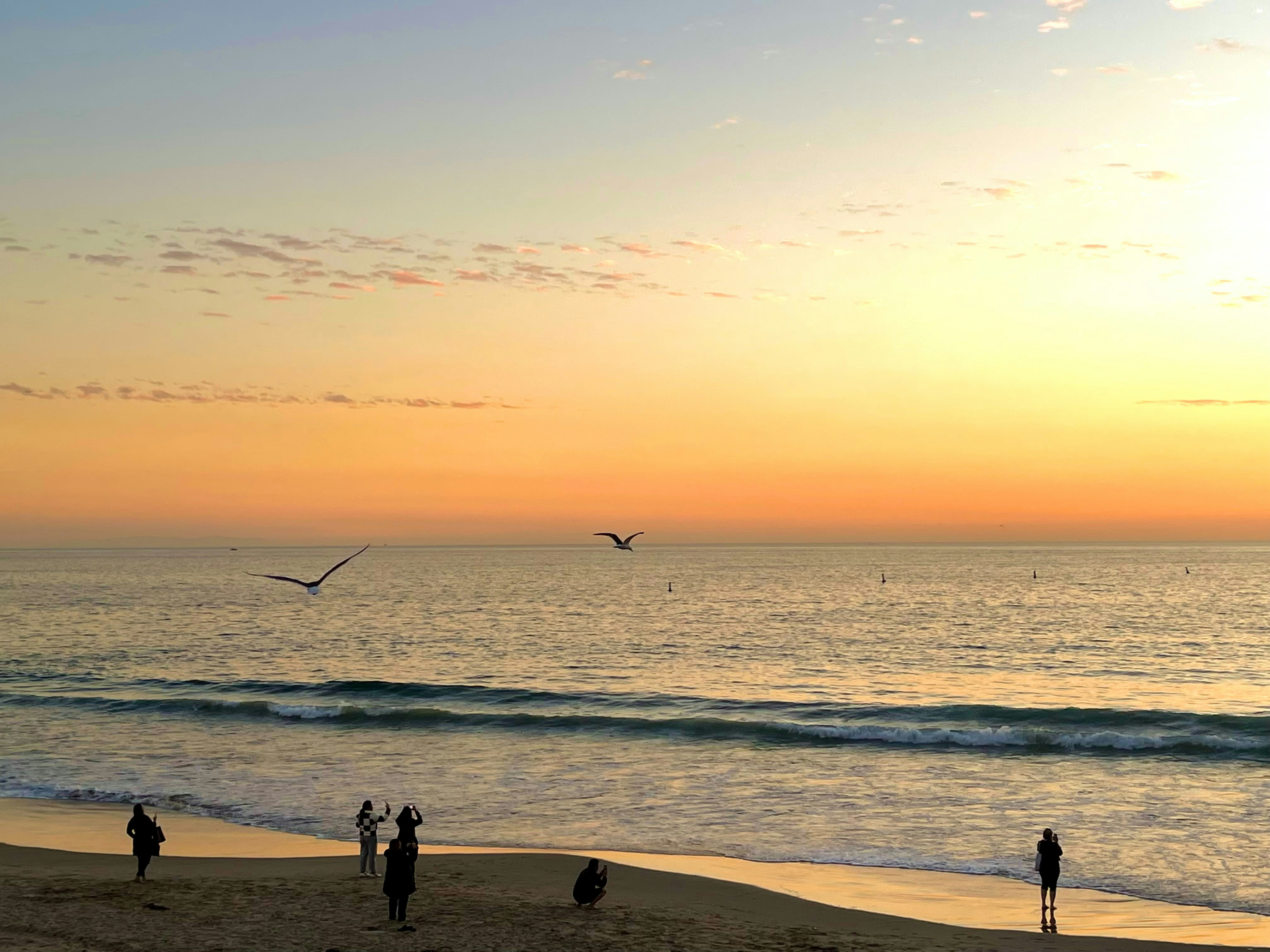 Horizonline Silhouettes: Beachgoers at Sunset