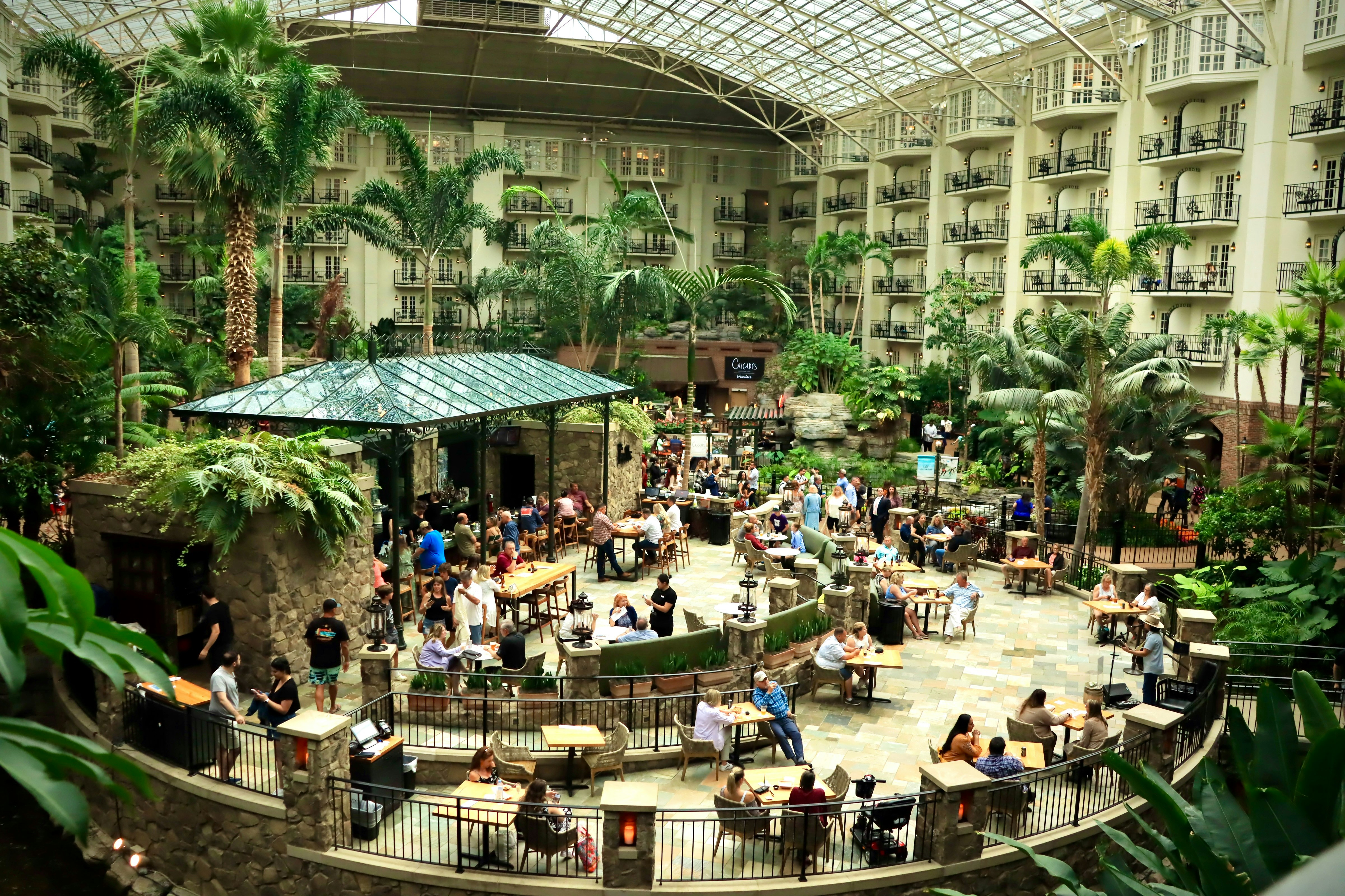 Atrium Café in a Lush Resort: Social Dining Among Tropical Foliage