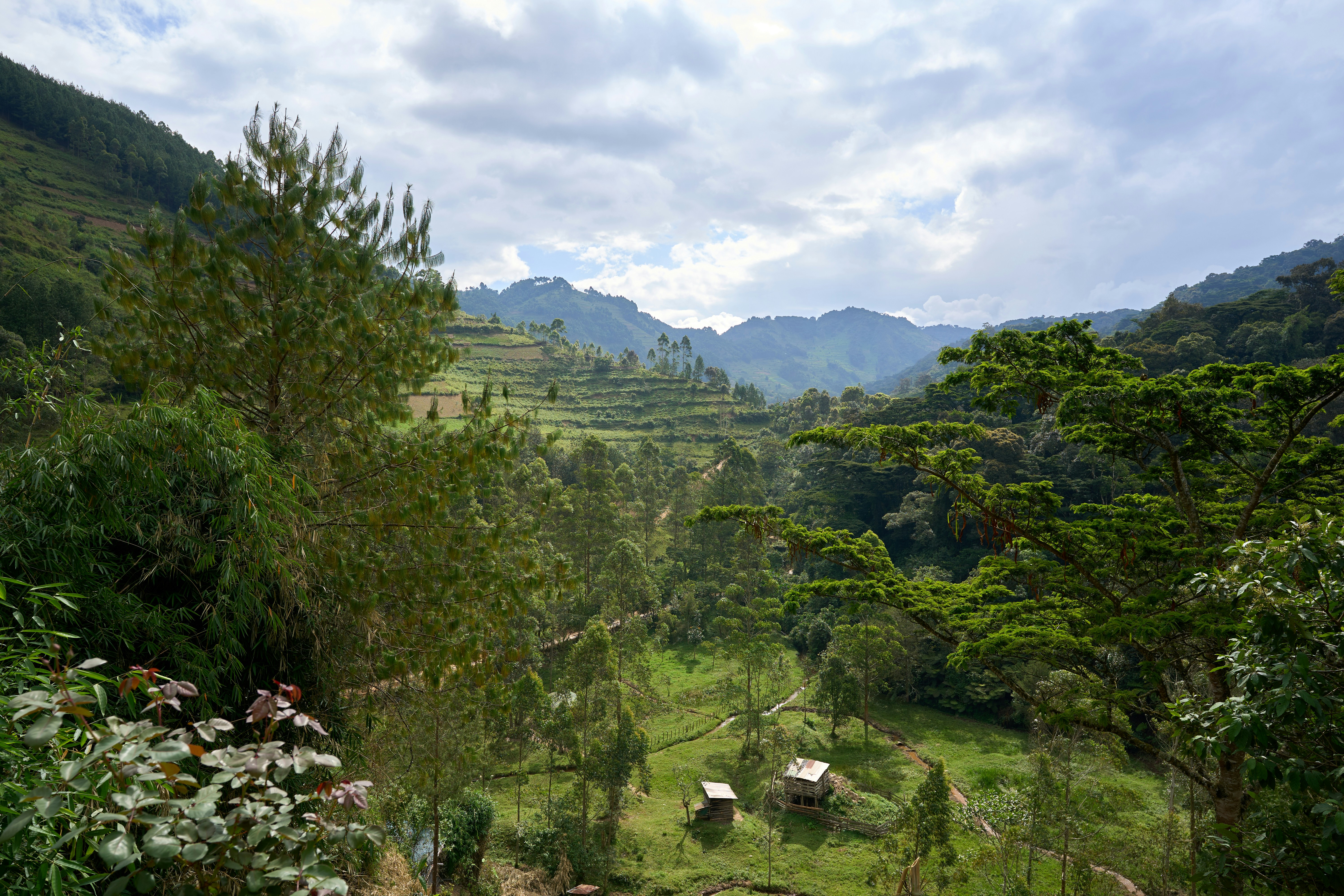 Terraced Valleys and Forested Hills Beneath a Cloudy Sky