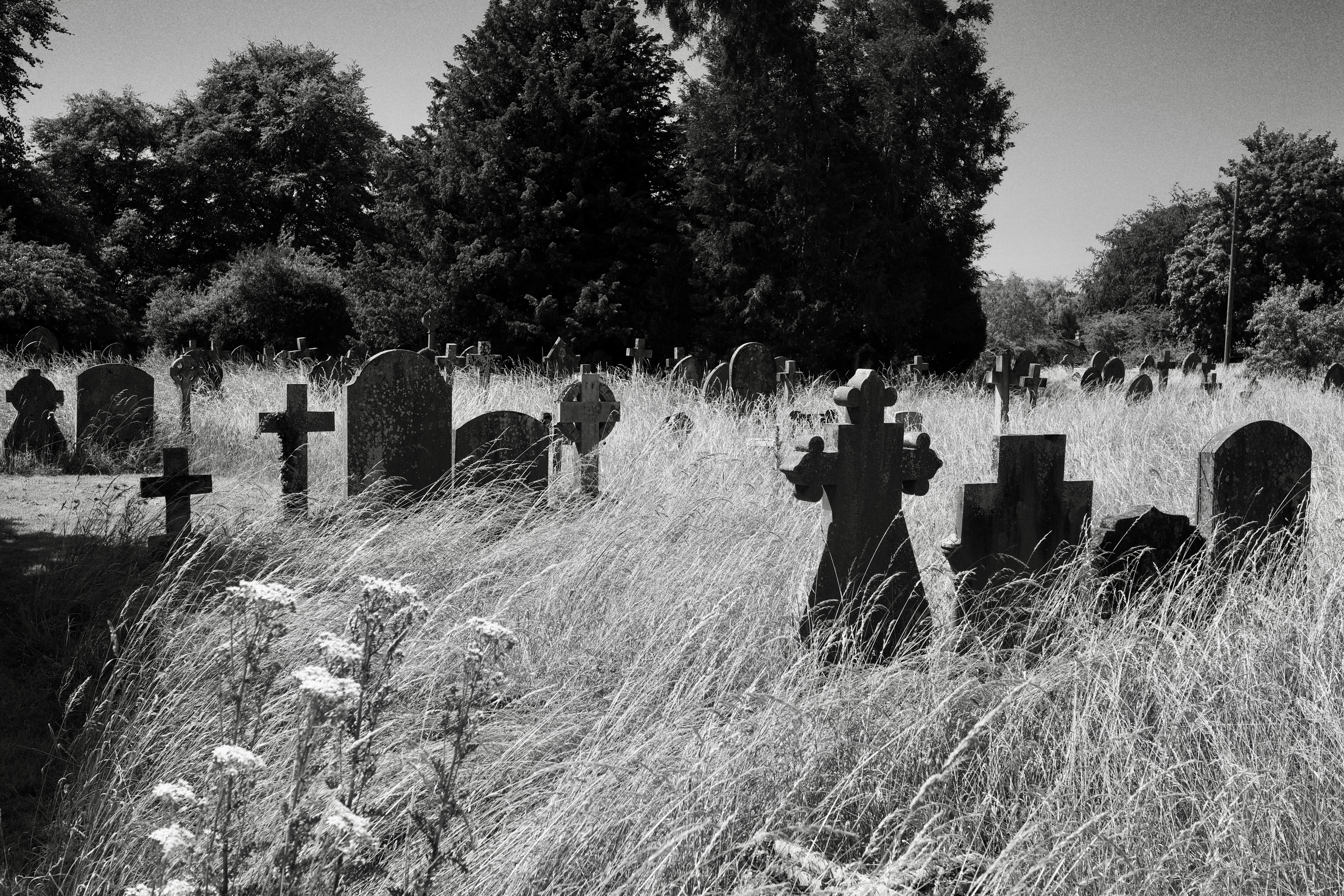 Monochrome cemetery scene with weathered tombstones rising through tall grass, conveying a tranquil, graveyard atmosphere.