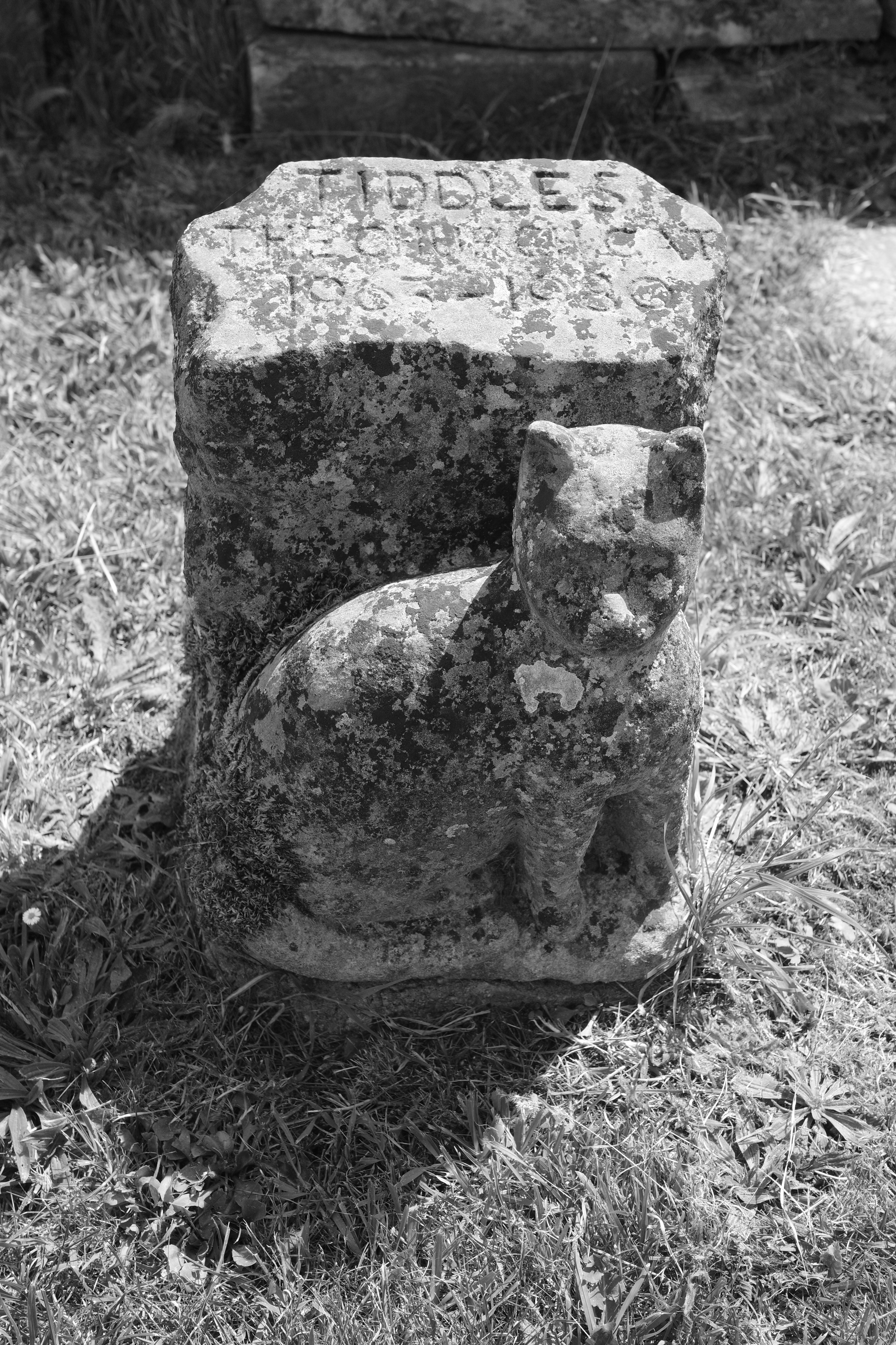 Weathered gravestone and small statue sit amid grass, covered in lichen. A quiet, sunlit cemetery vignette emphasizing texture and memory.