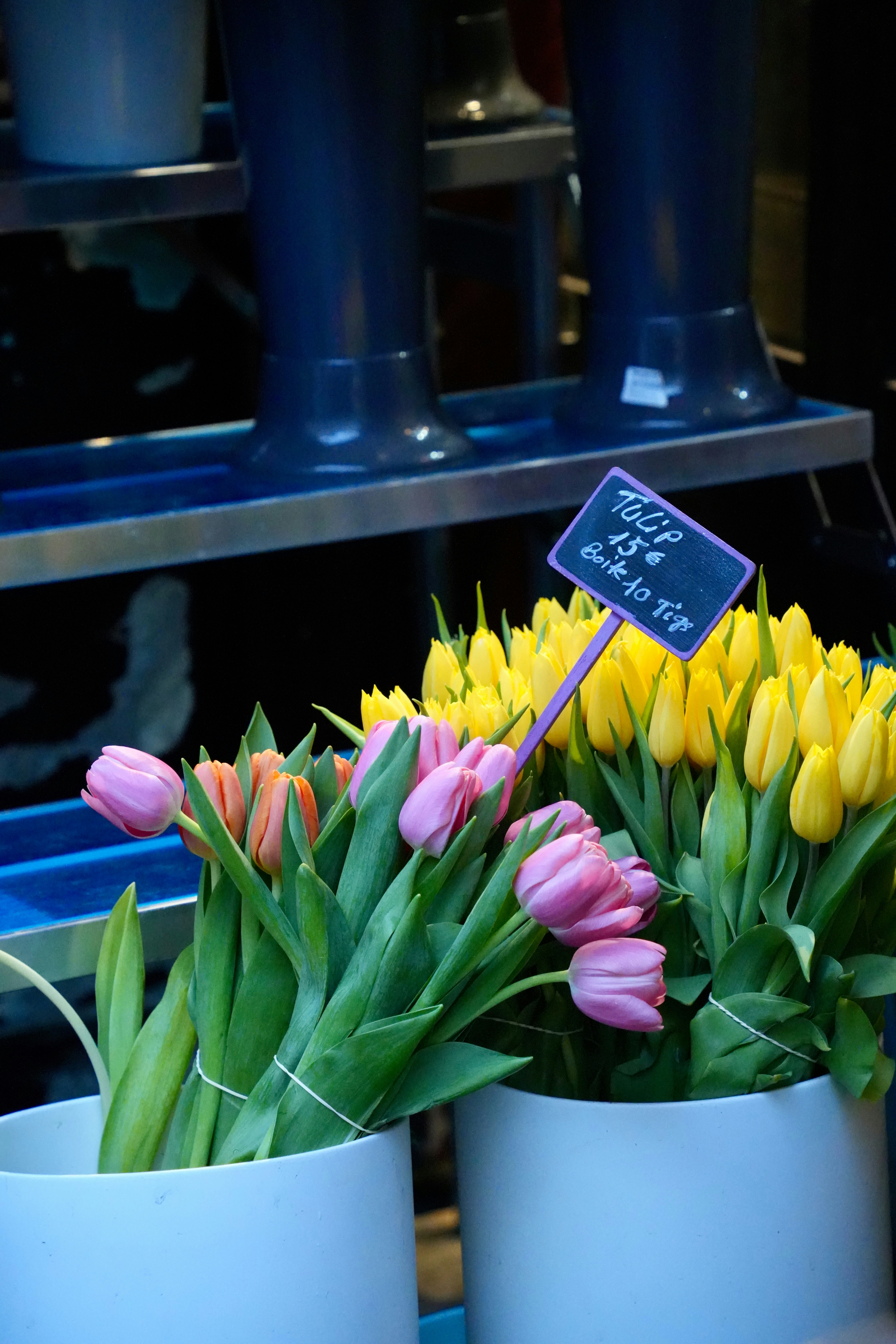 Tulip Market: Colorful Bouquet Under Neon Blues