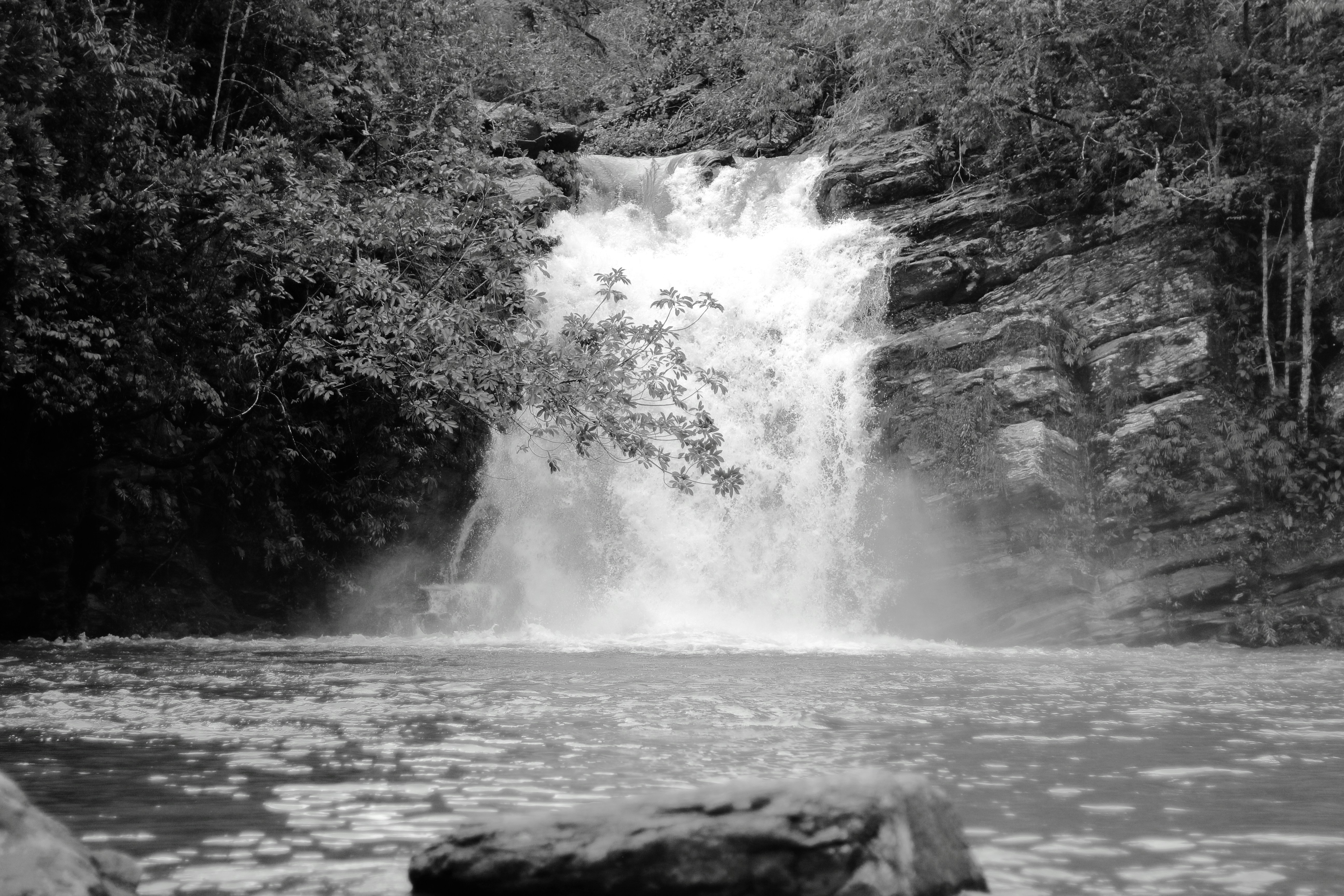 Silent Cascade: Monochrome Waterfall Framed by Shadowed Pines