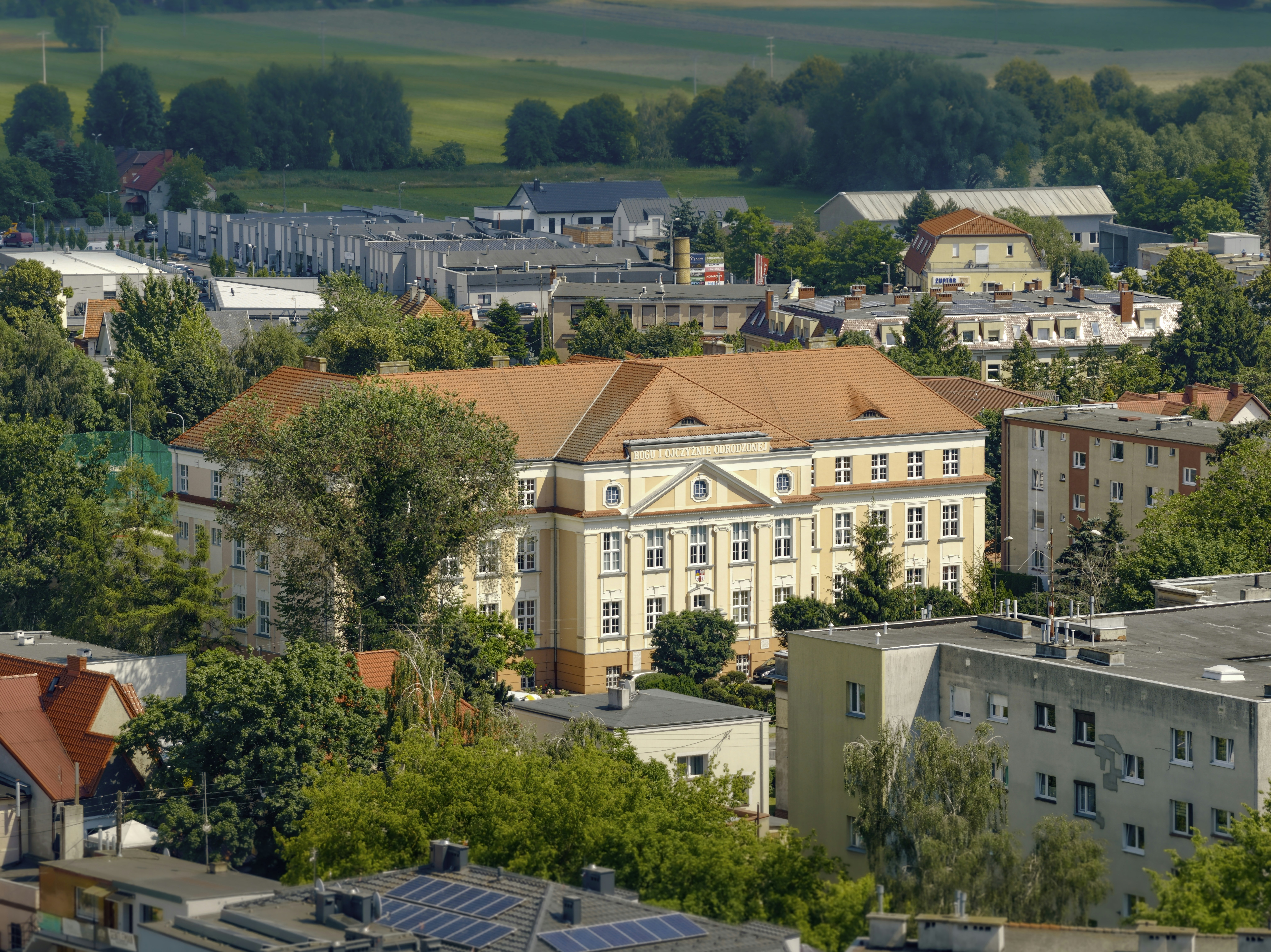 Sunlit Campus Court Amidst Verdant Suburban Rows