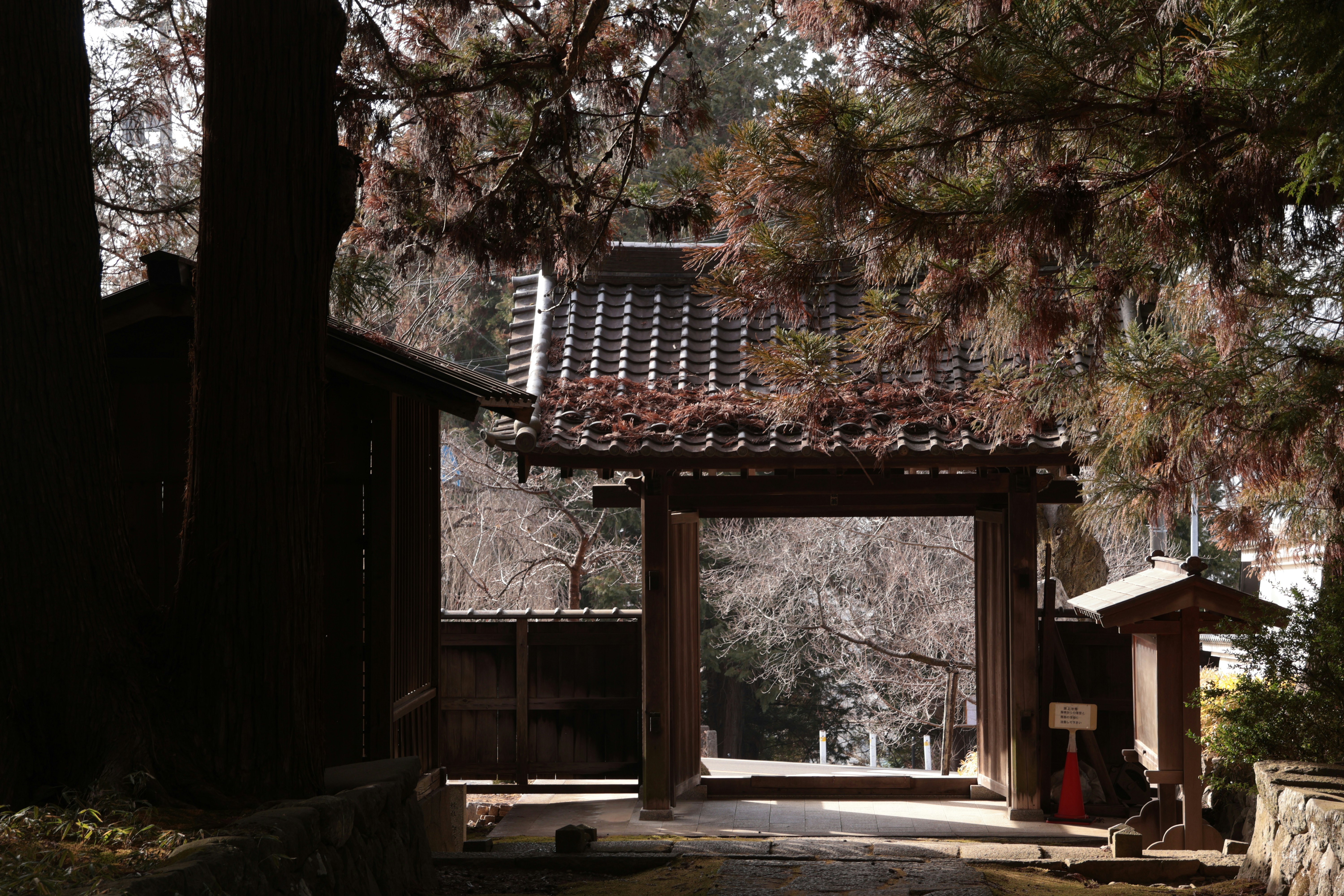 Tranquil Gate Framing the Garden Path