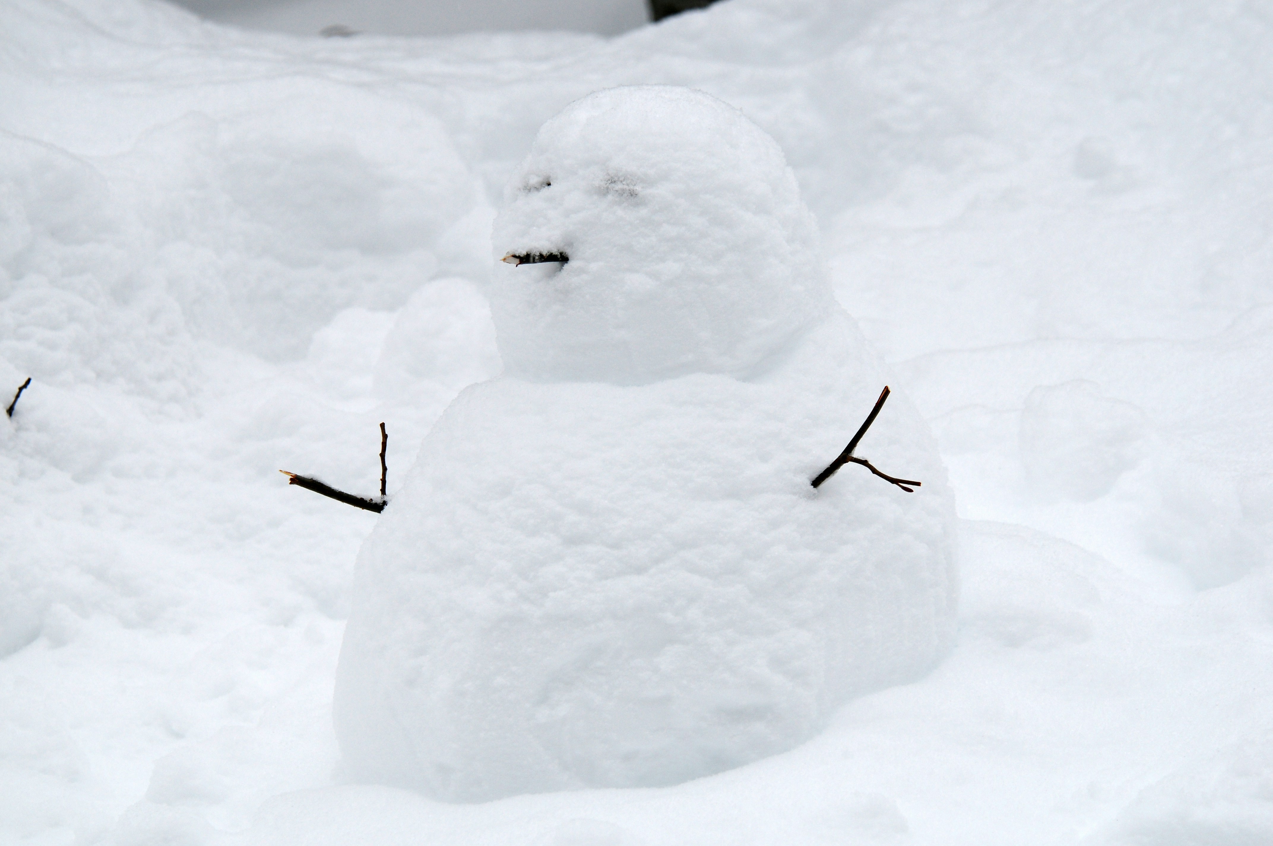 Snowman in a Quiet White Field