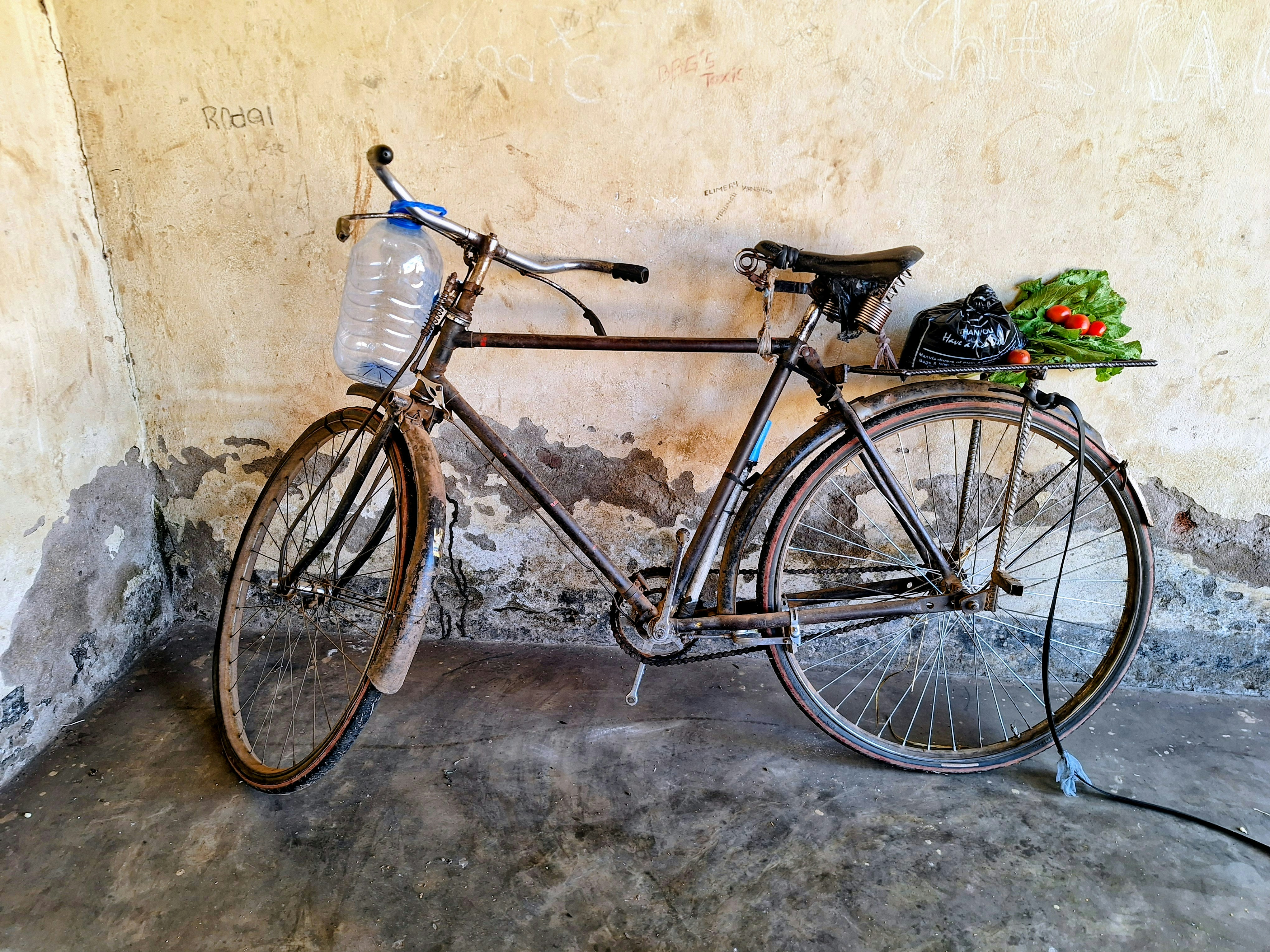 Aged bicycle with fresh greens resting on a sunlit wall