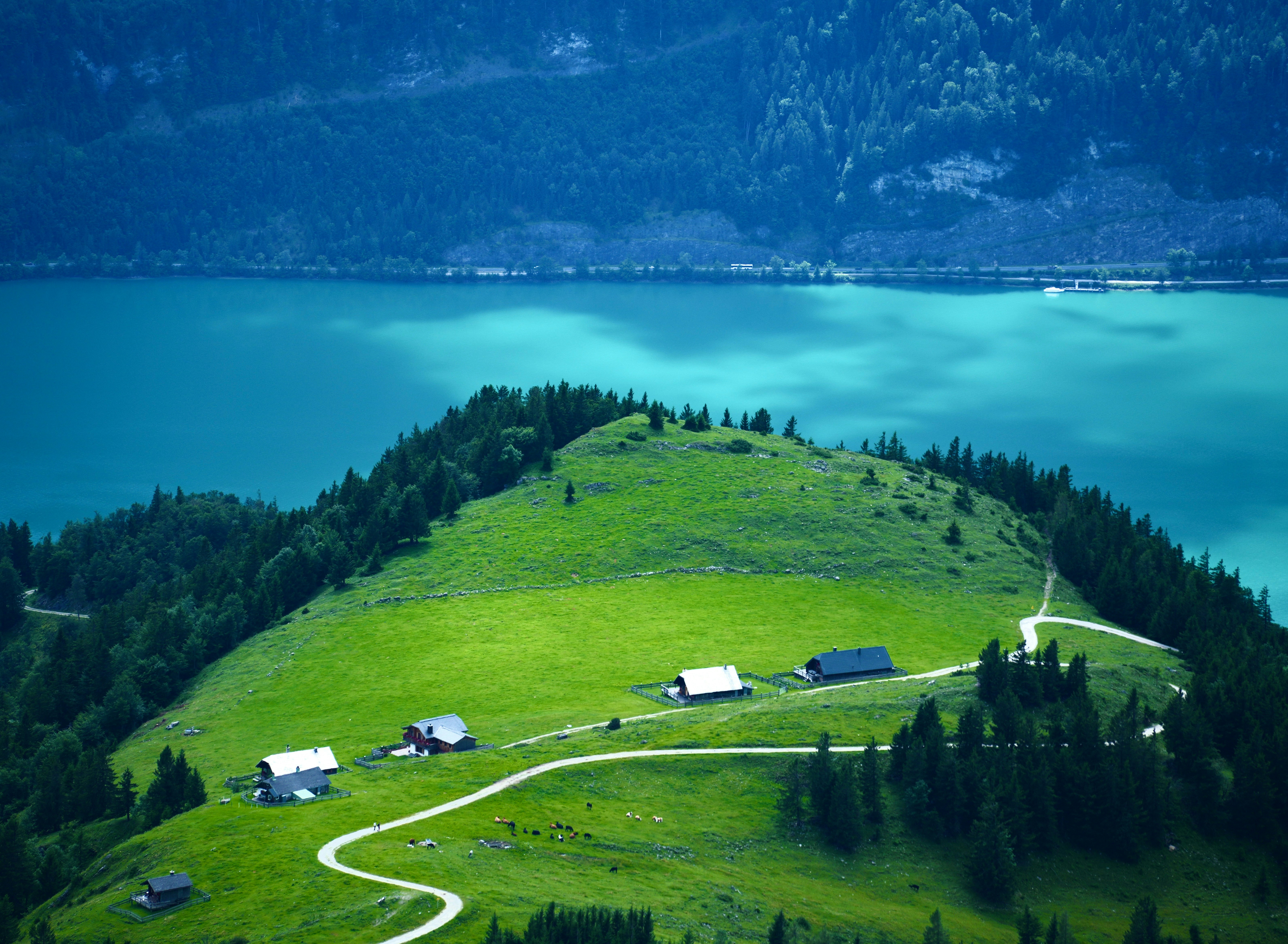 Pastoral Crest Over turquoise waters
