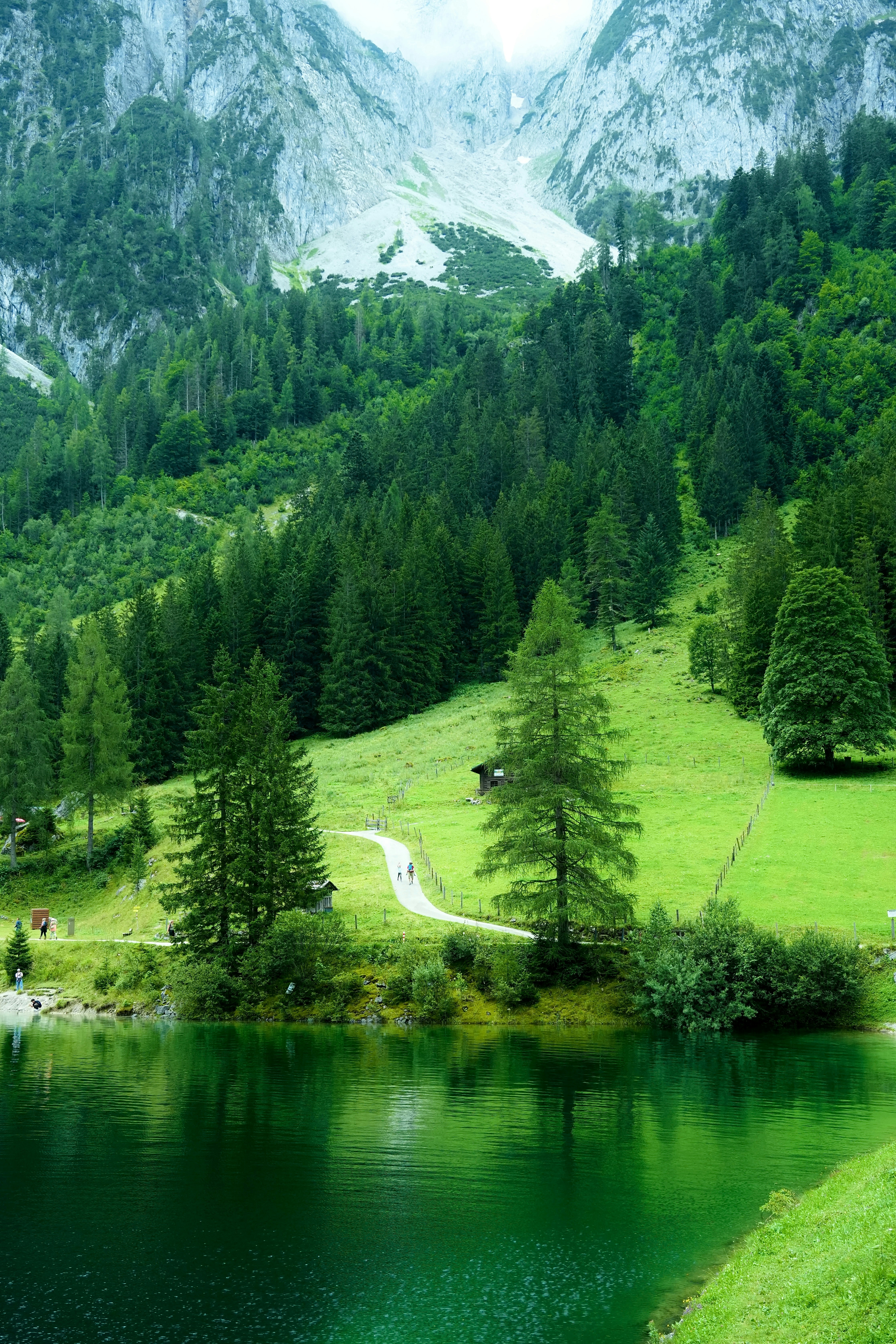 Emerald Basin Road: A winding path through pine and lake to towering alpine peaks