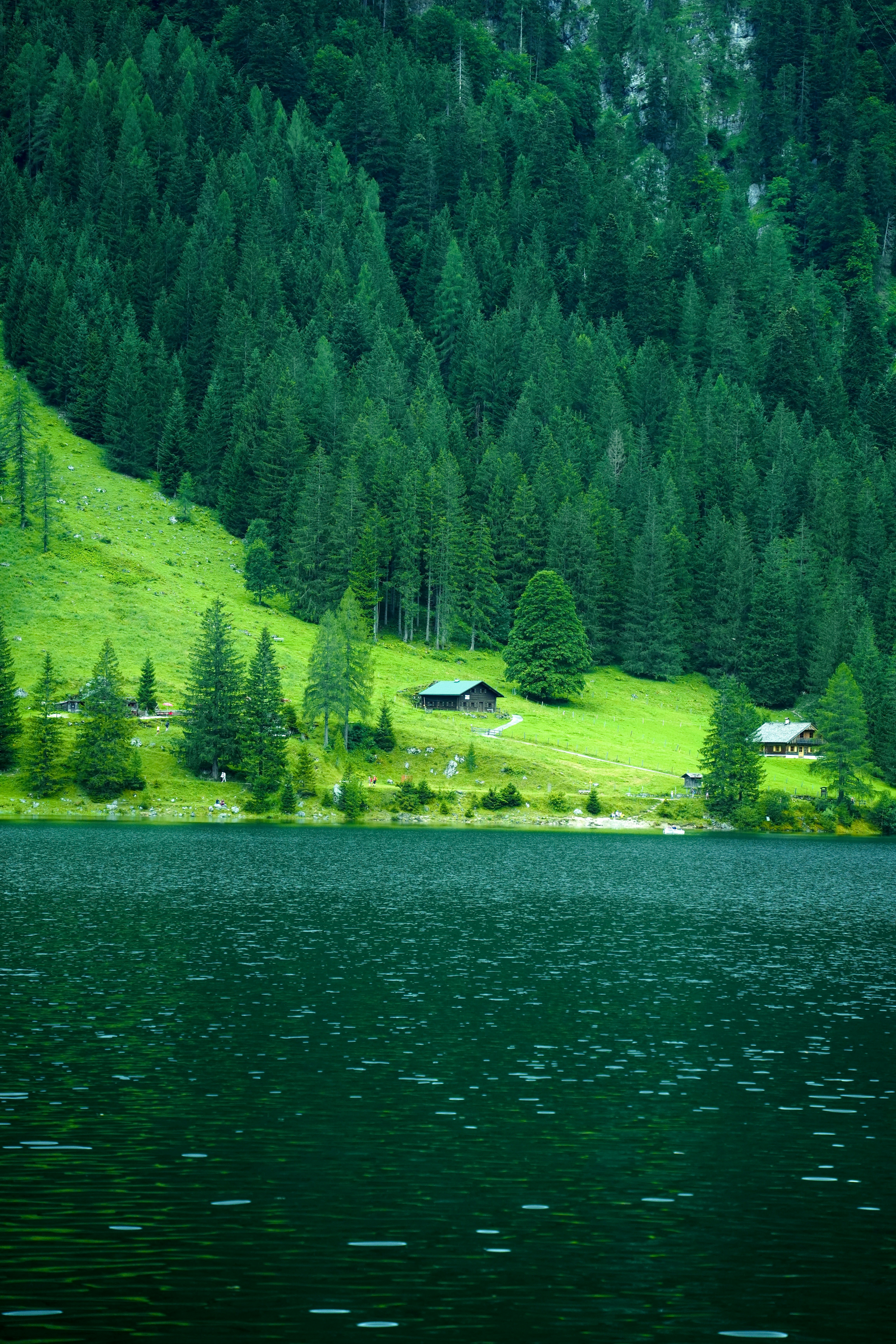 Emerald Lake Retreat: A Quiet Pineside Moment