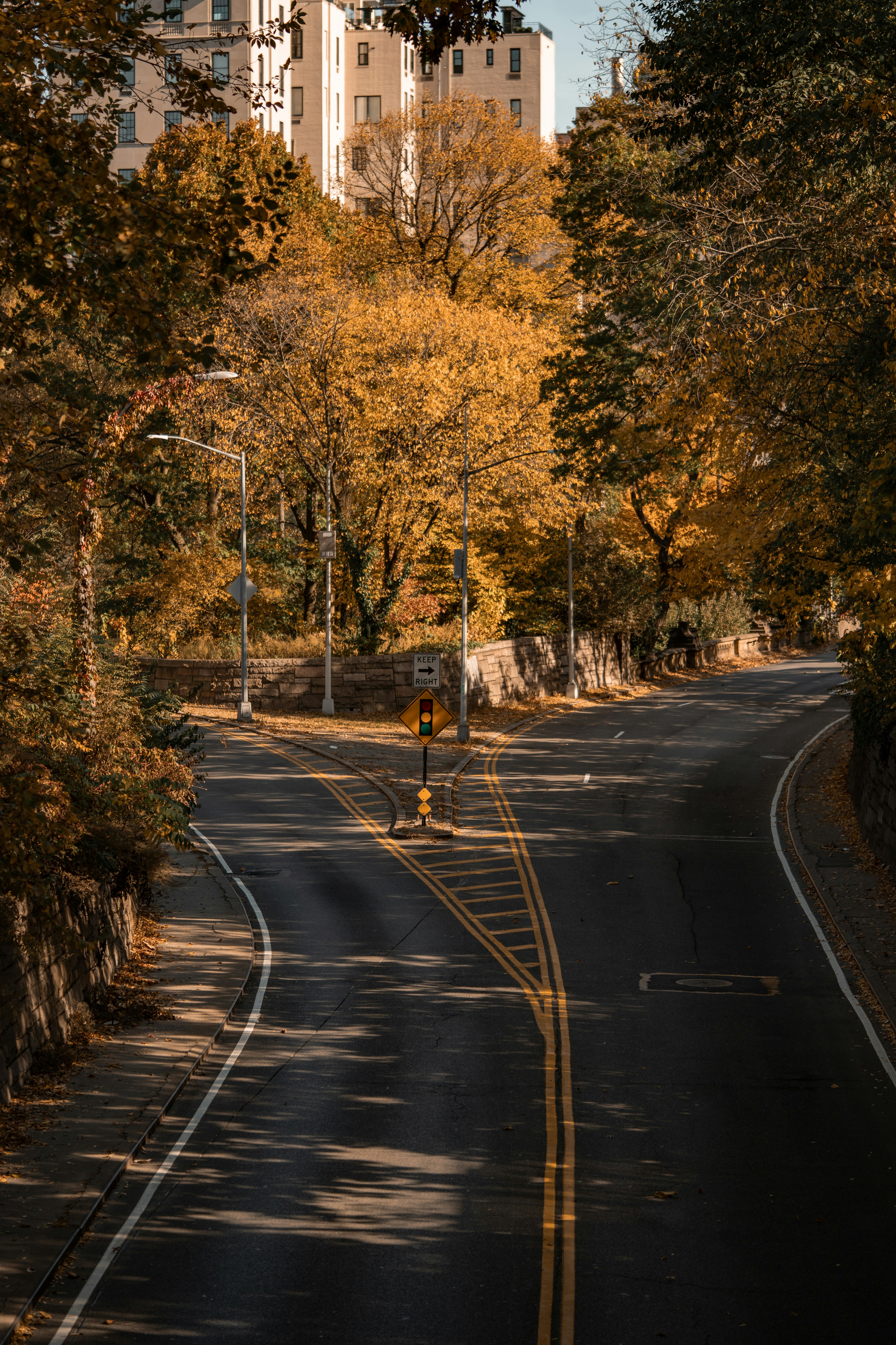 Autumn Ascent: A Quiet City Street Framed by Golden Foliage