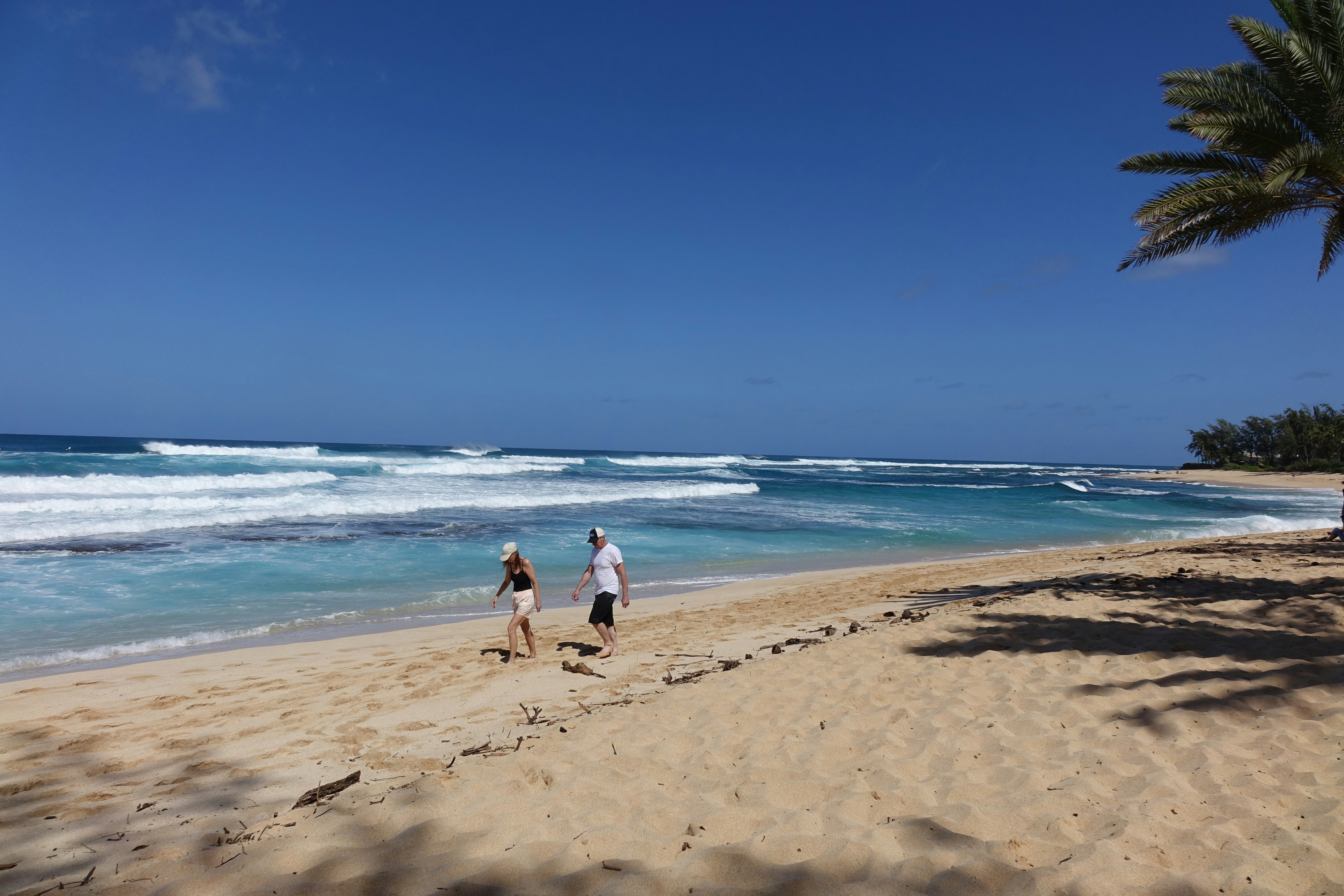 Two Beach Walkers on Sunlit Shoreline