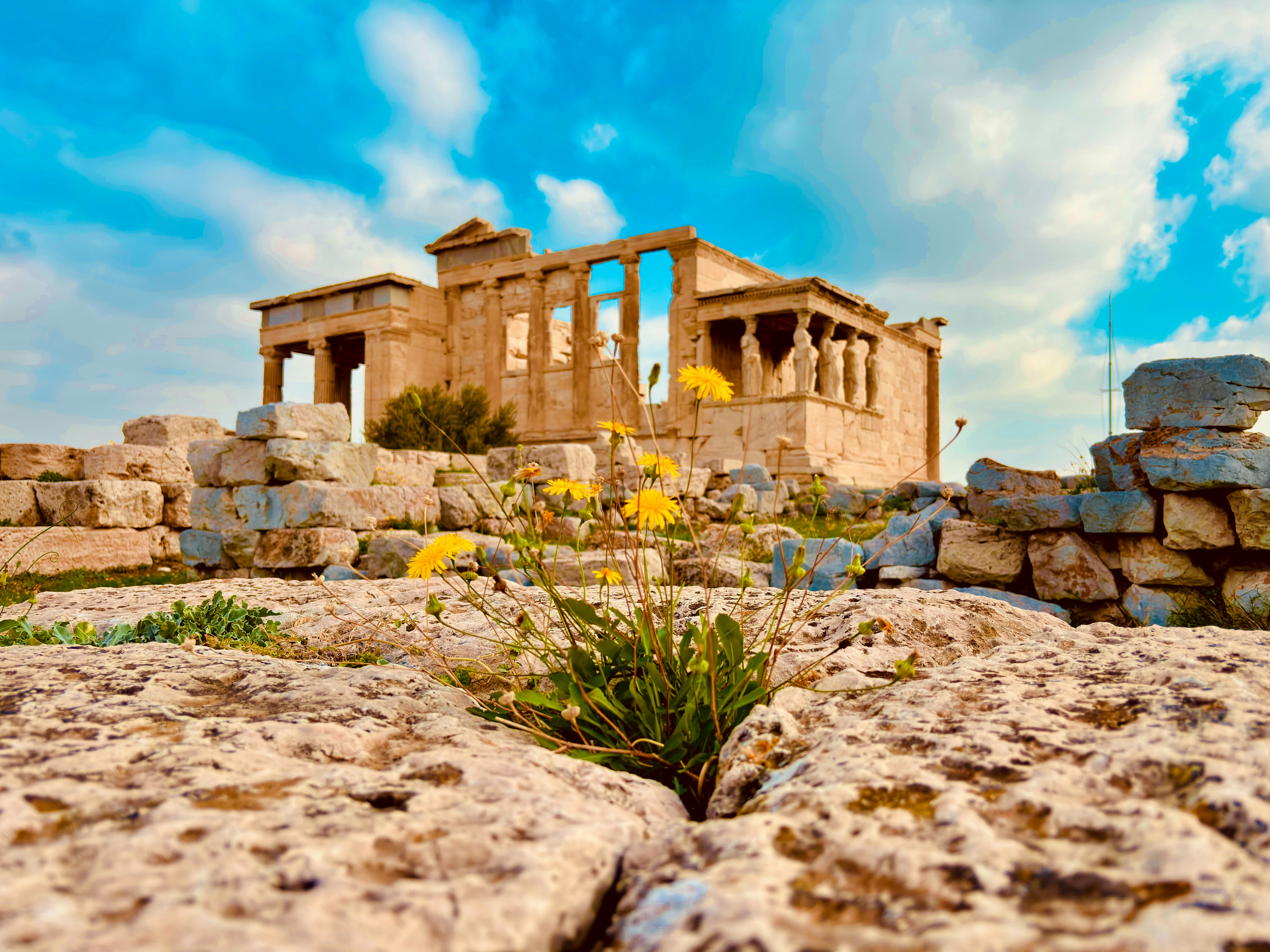 Stone Echoes: The Ruins Framed by a Wildflower Cast