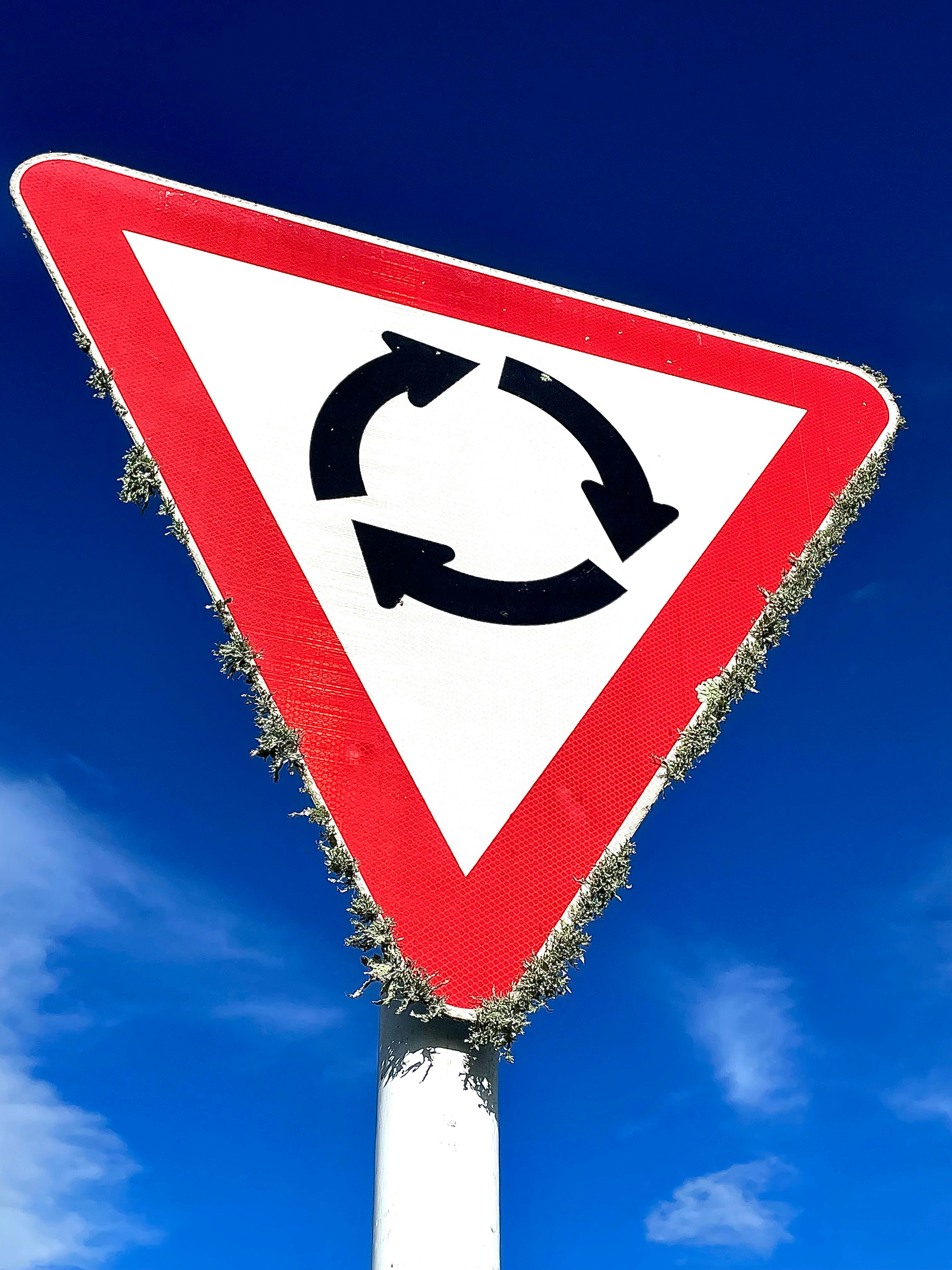 Frosted Roundabout: A Icy Turn Sign Against a Clear Blue Sky