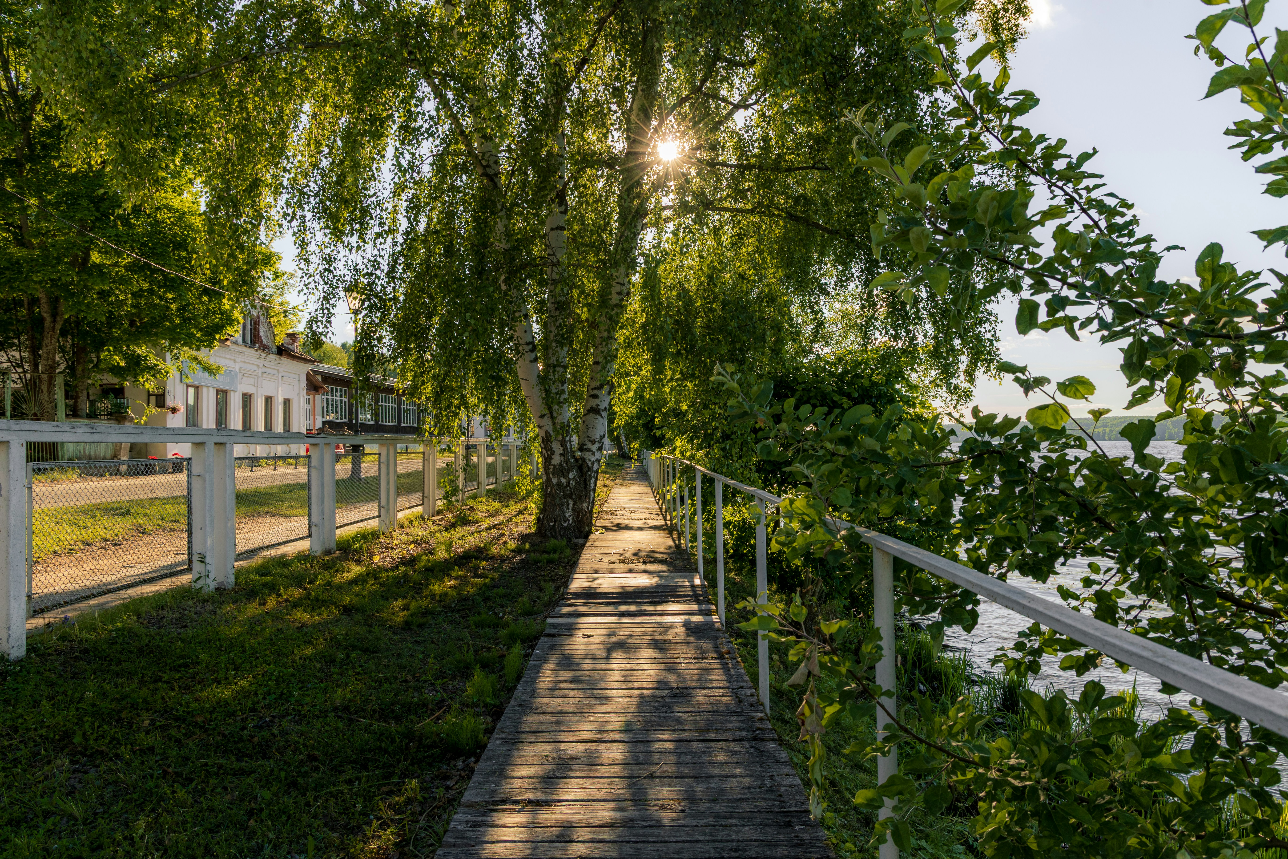 A sunlit wooden boardwalk runs through a lush, tree-lined pathway beside a railing; sunlight filters through leaves, guiding the eye toward the distant vanishing point by a lake.