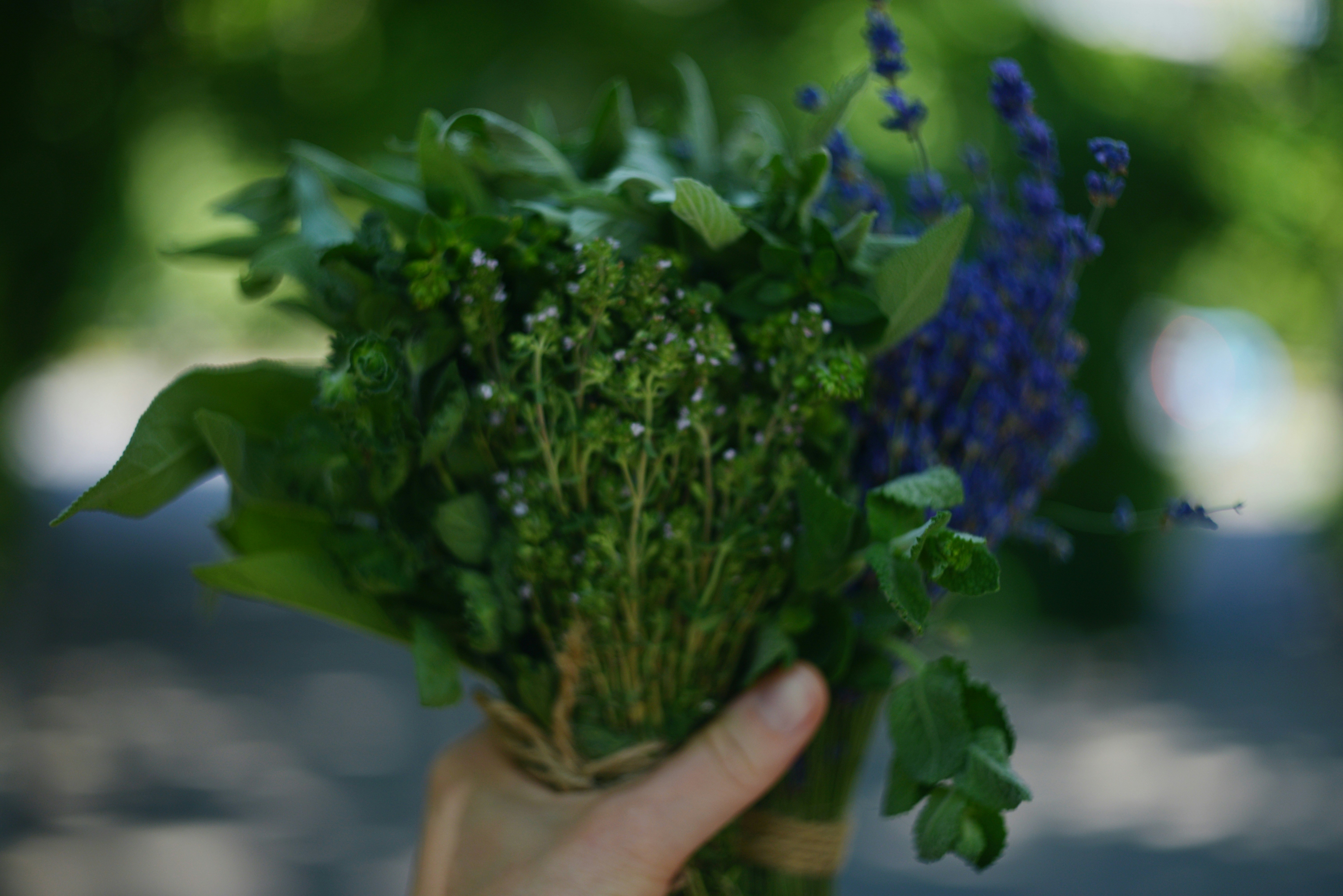 Bouquet of Green and Violet: Handheld Bouquet in Soft Focus